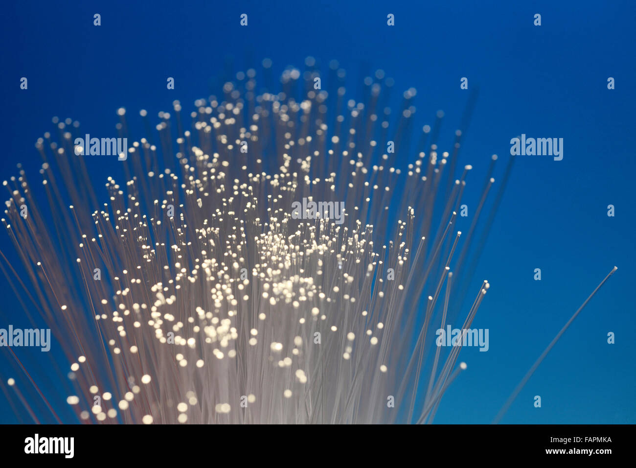 close up of bundle of fiber optic Stock Photo - Alamy