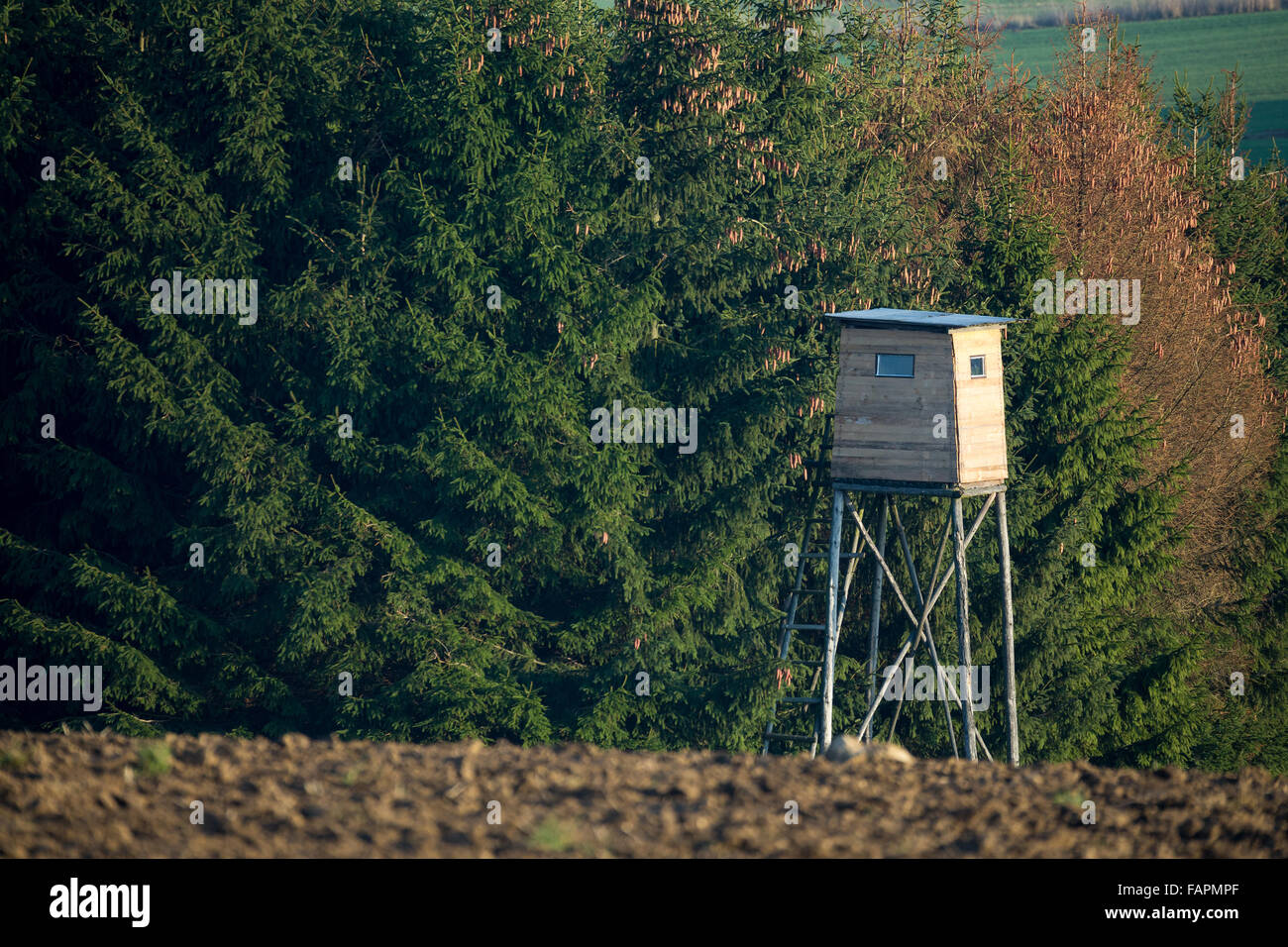Wooden Hunters High Seat hunting tower in rural Landscape, Czech ...