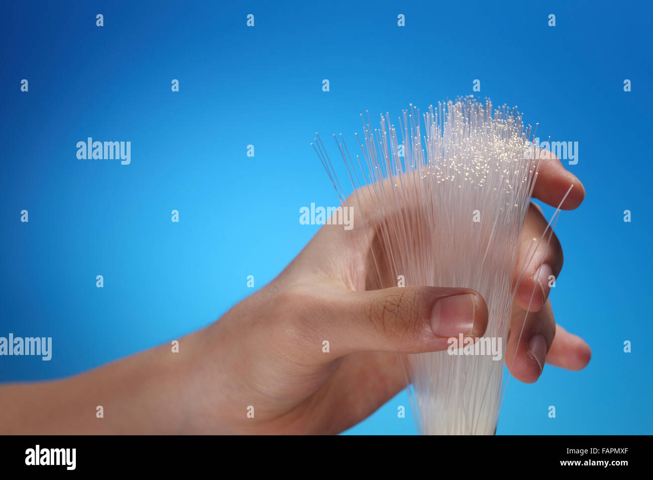 hand holding of fiber optic Stock Photo - Alamy