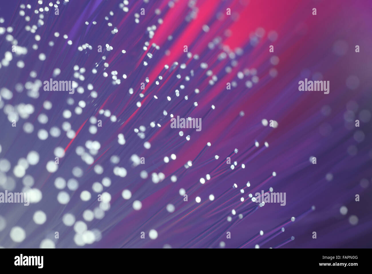 close up of bundle of fiber optic Stock Photo - Alamy