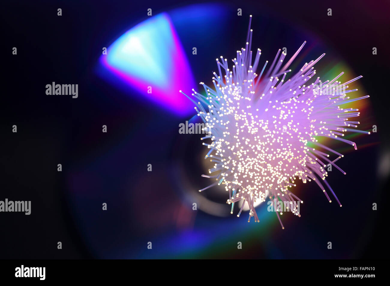 Optic disc hi-res stock photography and images - Alamy