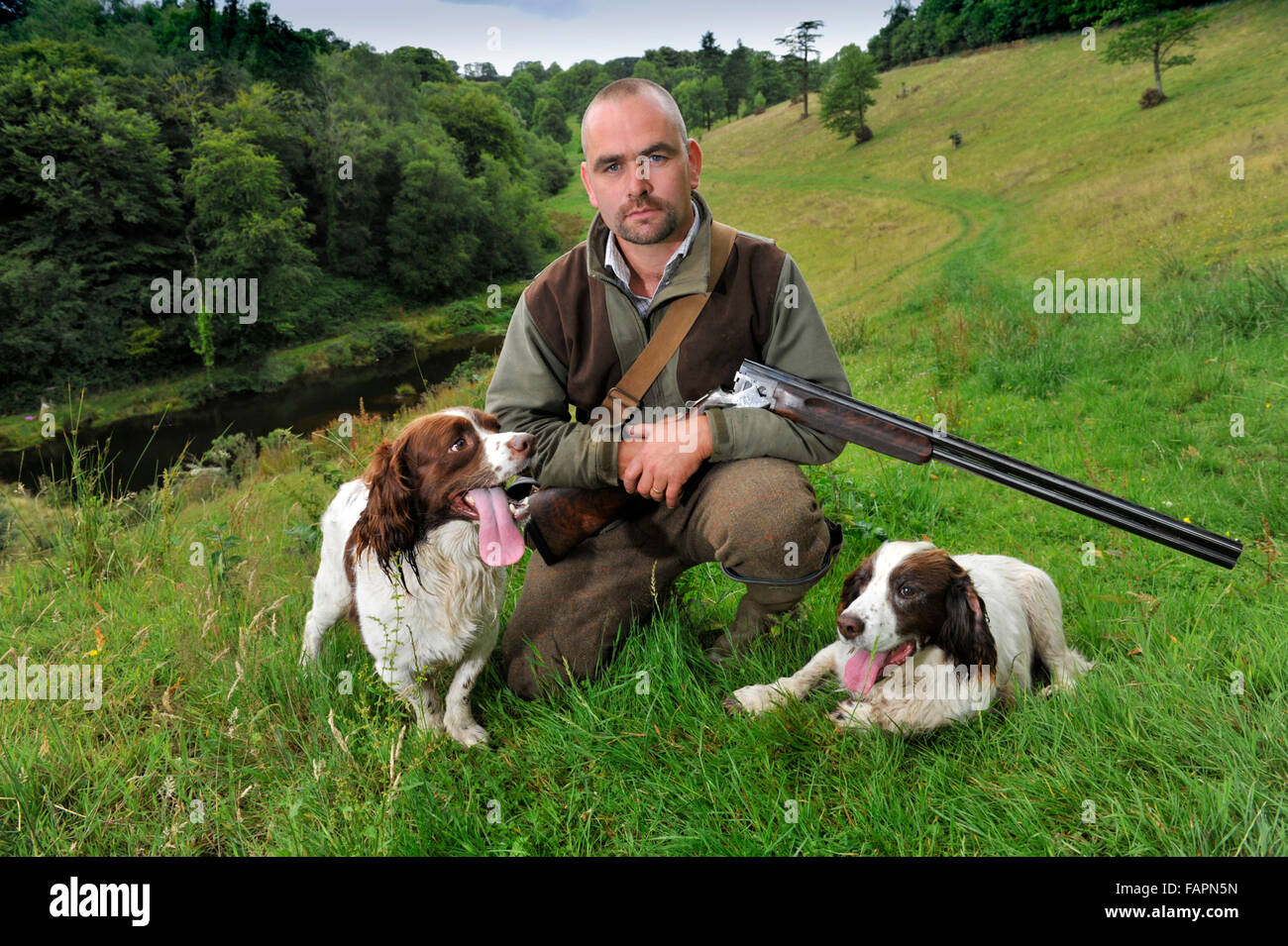 Darren Ninnis,gamekeeper with shotgun and dogs and a retained ...