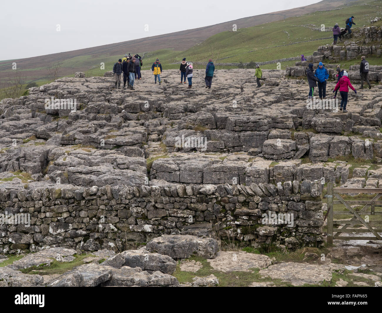Malham Cove limestone pavement Stock Photo - Alamy
