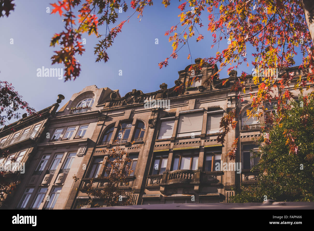 Old building facade through brabches and leaves with autumn colors ...