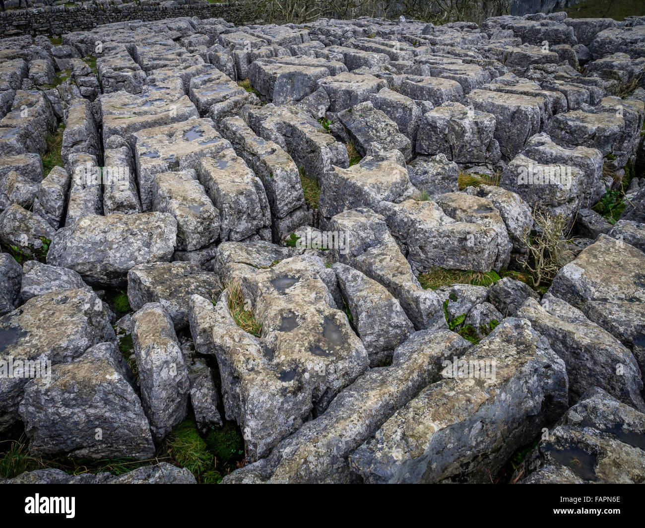 Malham Cove limestone pavement Stock Photo - Alamy