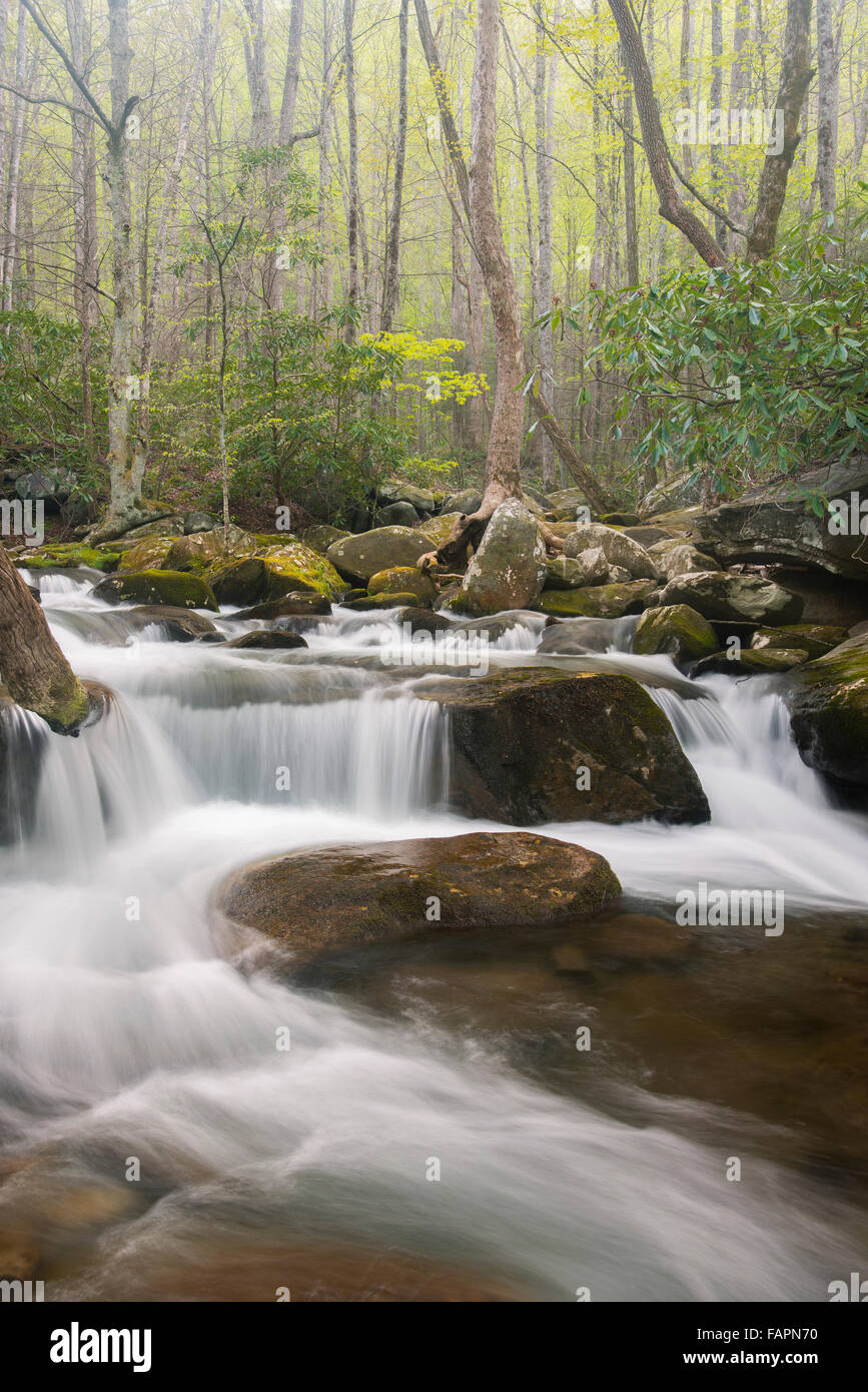 Tennessee postcard hi-res stock photography and images - Alamy