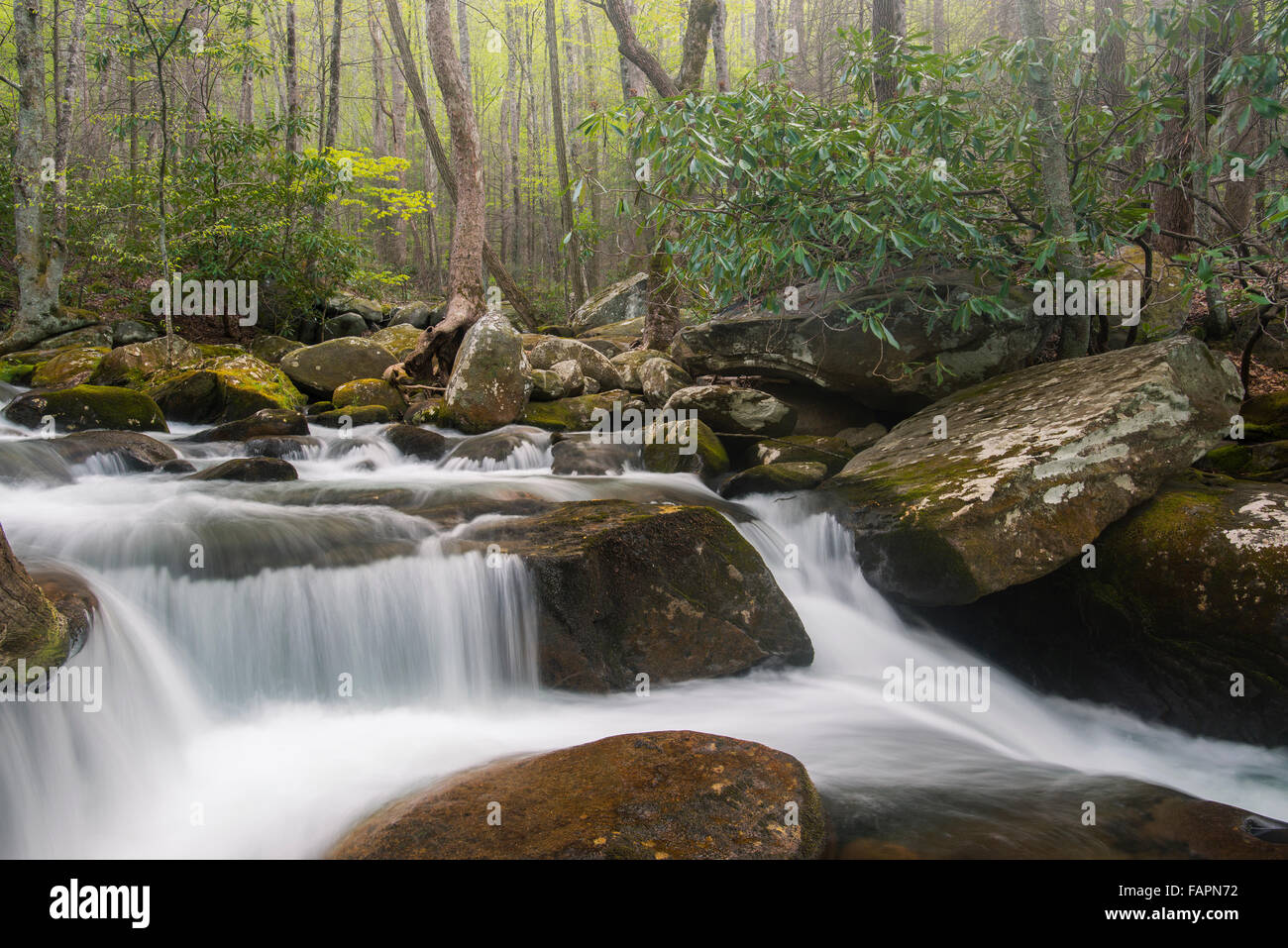 Tennessee postcard hi-res stock photography and images - Alamy