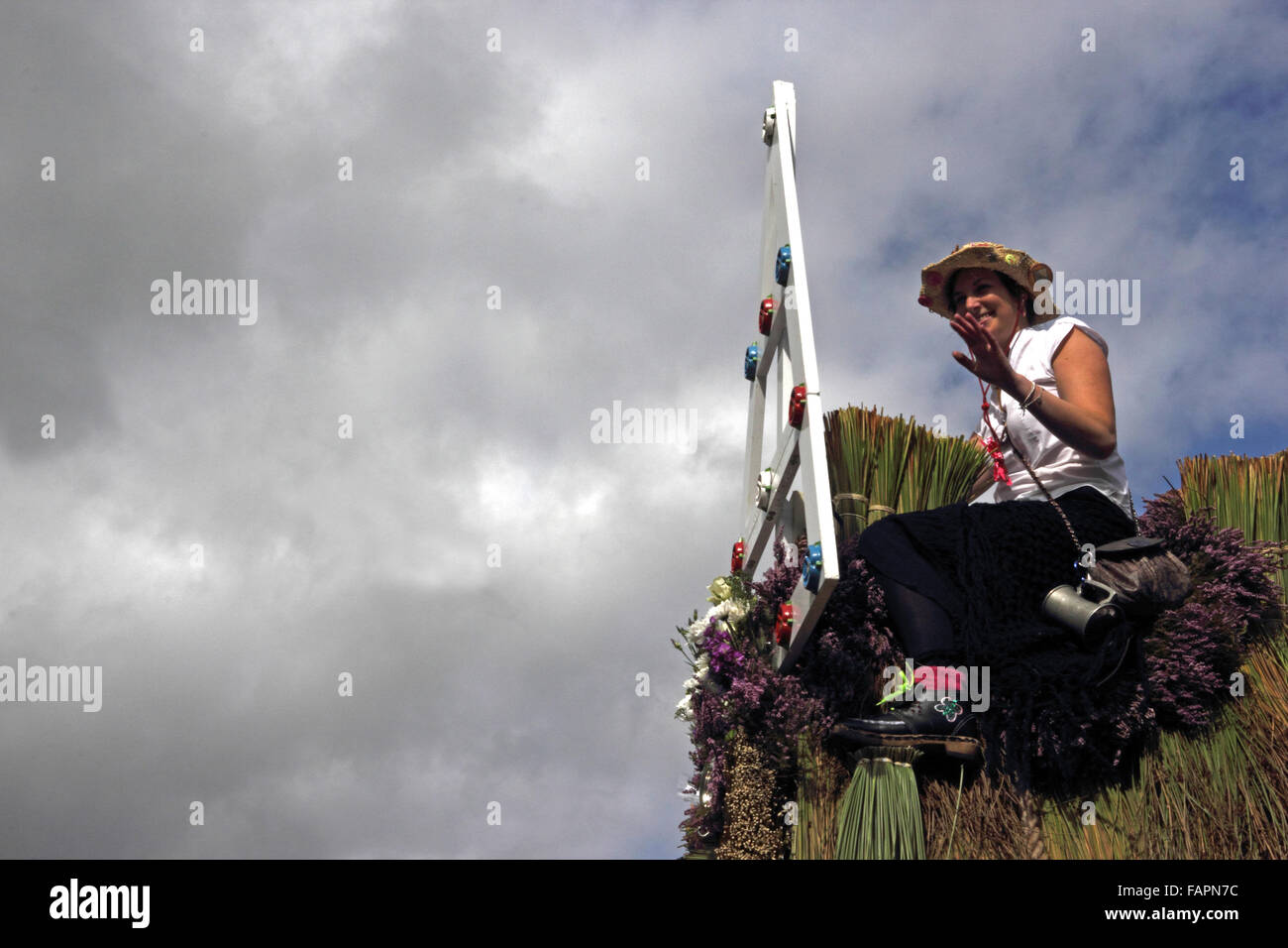 Leading cart hi-res stock photography and images - Alamy