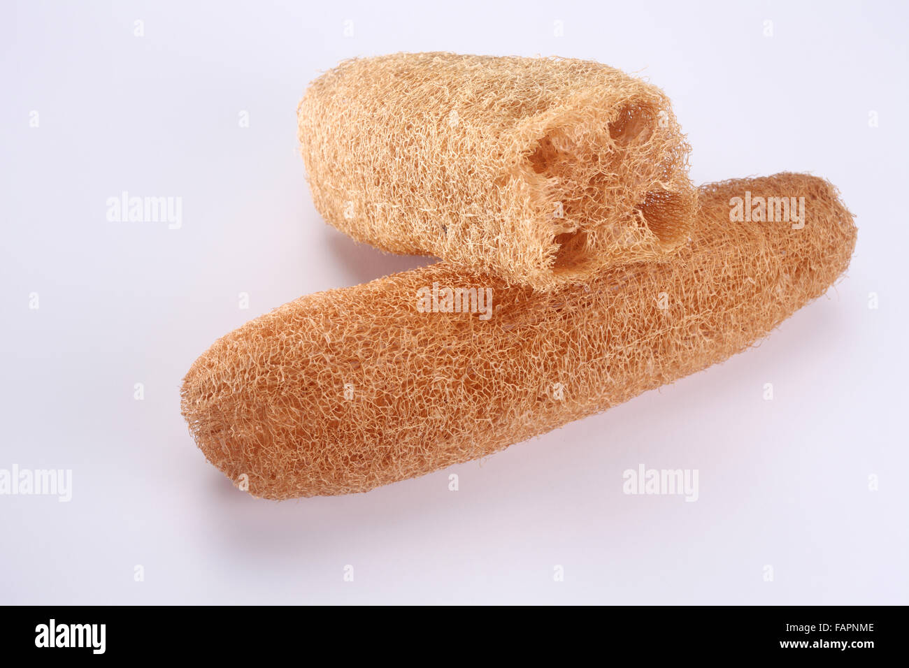 close of the loofah on the white background Stock Photo - Alamy