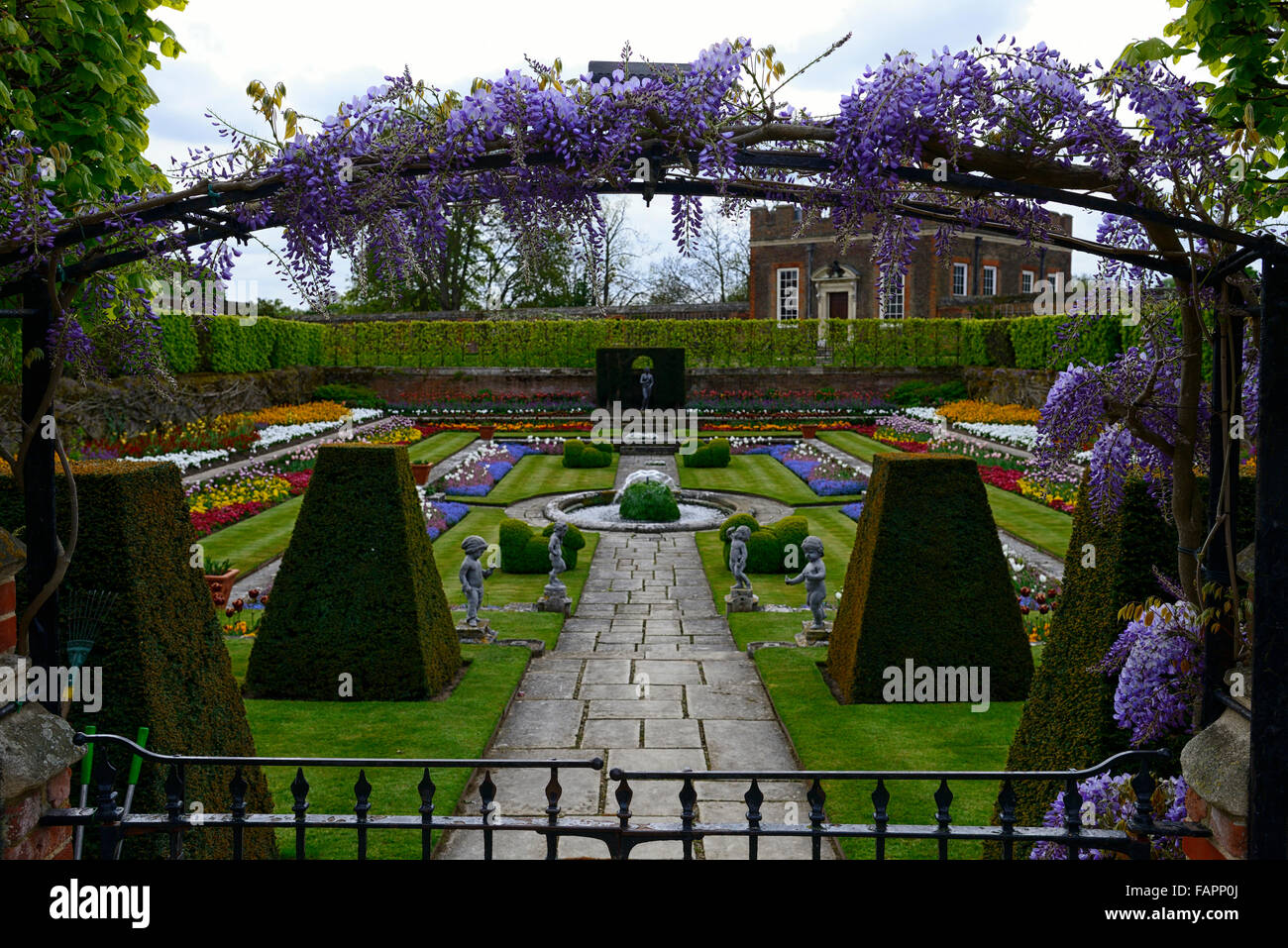Hampton Court Palace Gardens sunken garden spring flowers tulips ...