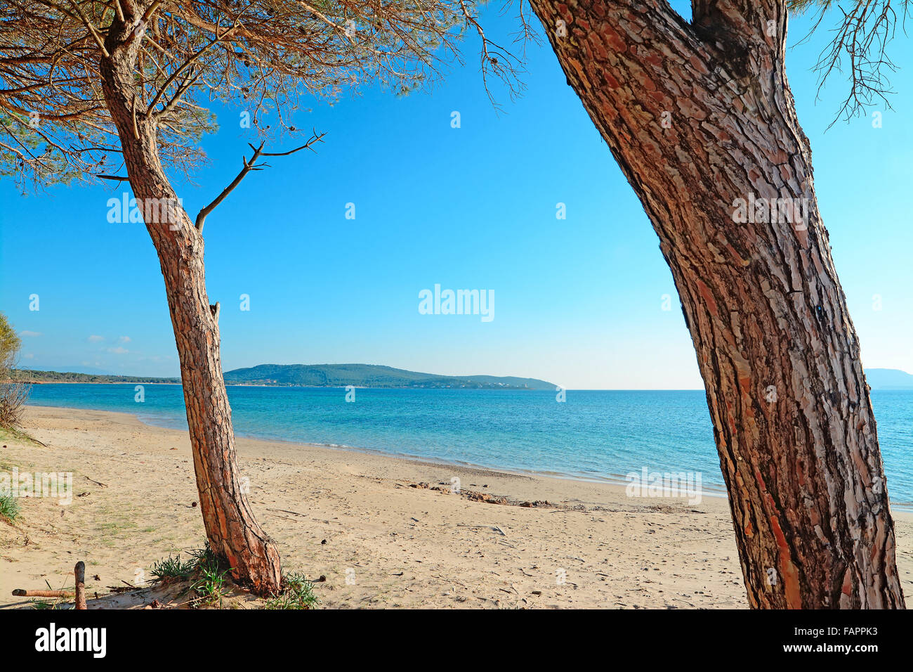 Mugoni beach in Alghero on a clear sunny day Stock Photo - Alamy