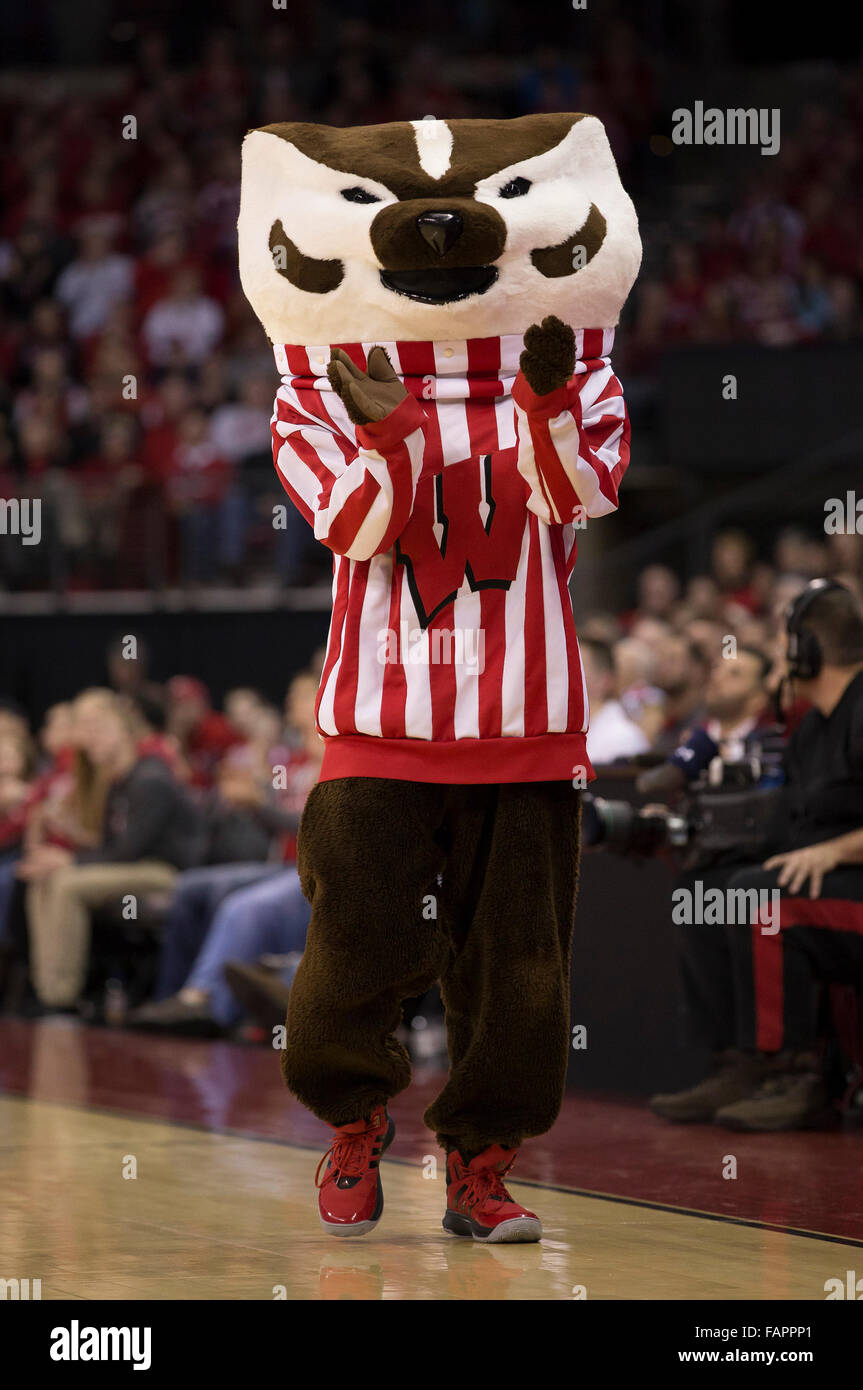 Wisconsin badgers mascot bucky badger hi-res stock photography and ...