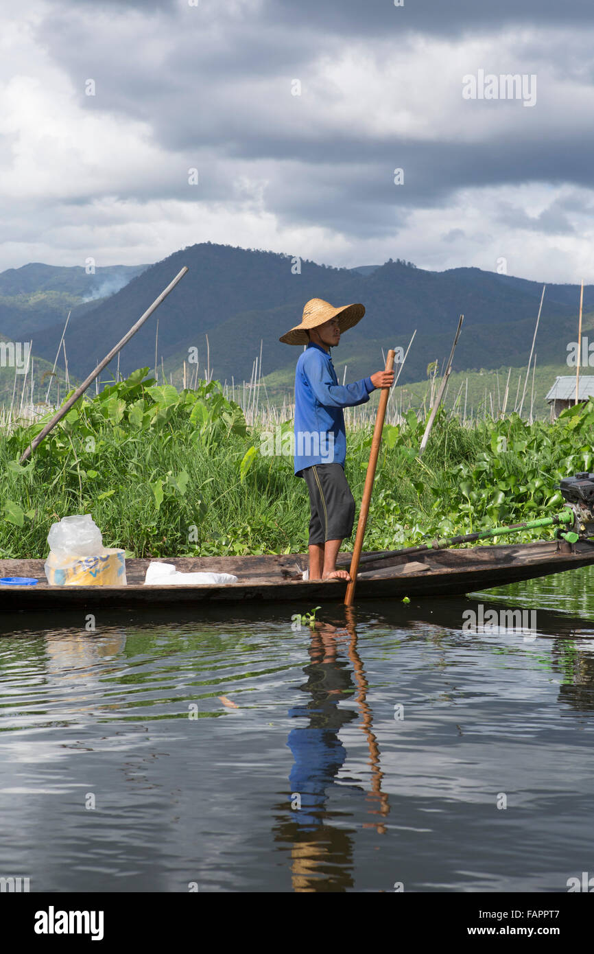 A farmer at work on the floating farms on Inle Lake in Myanmar (Burma ...