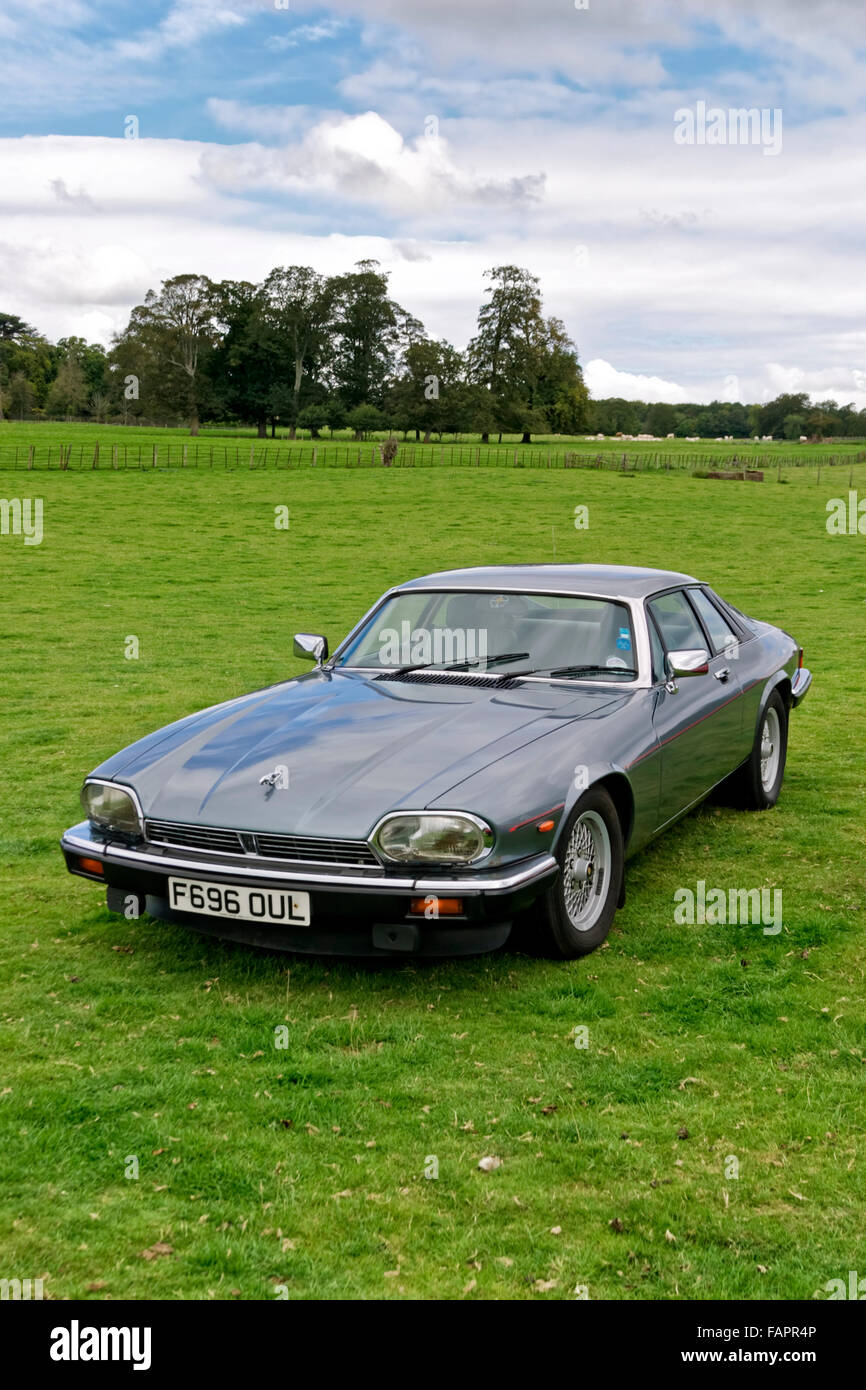 A Jaguar XJS 3.6-Litre luxury grand tourer 2 door coupe at the Breamore ...