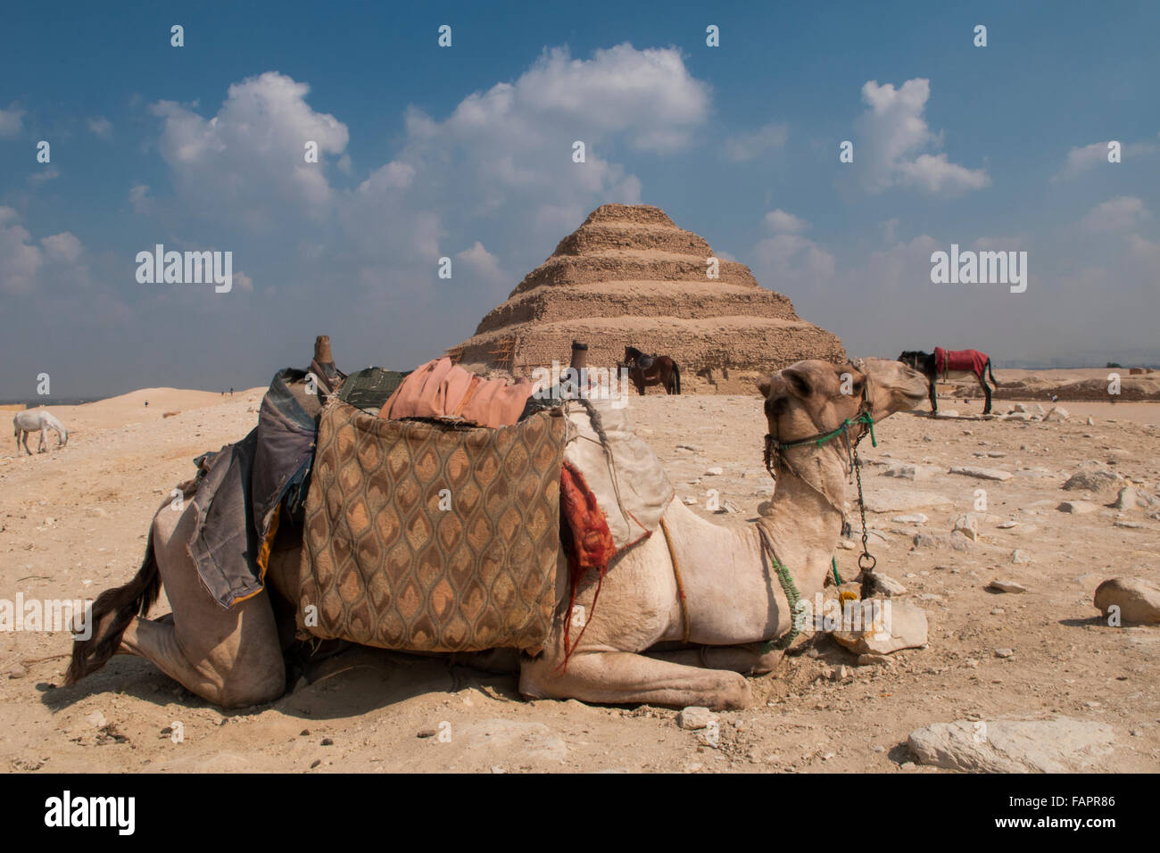 Antique step hi-res stock photography and images - Alamy