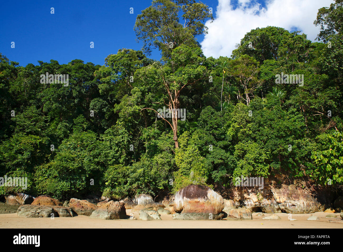 Beach with rocks and rainforest on the coast, Permai Rainforest in ...