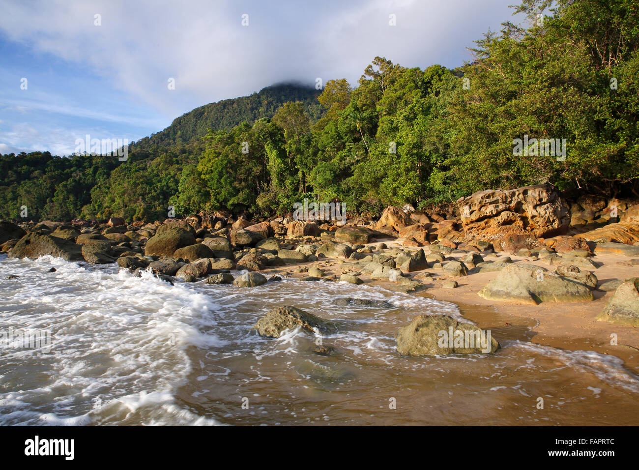 Beach with rocks and rainforest on the coast, Permai Rainforest in ...
