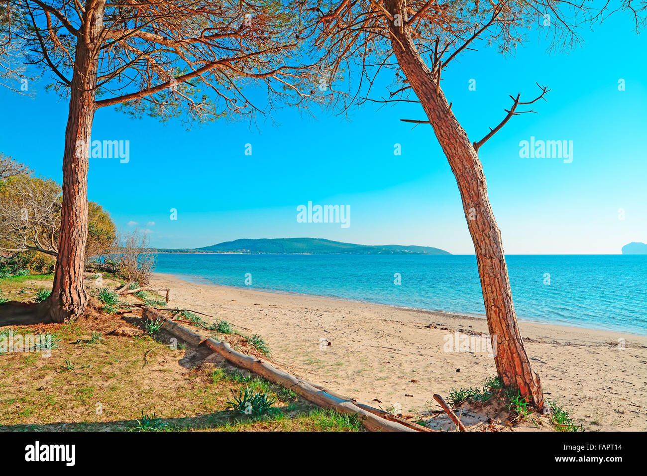 Mugoni beach in Alghero on a clear sunny day Stock Photo - Alamy