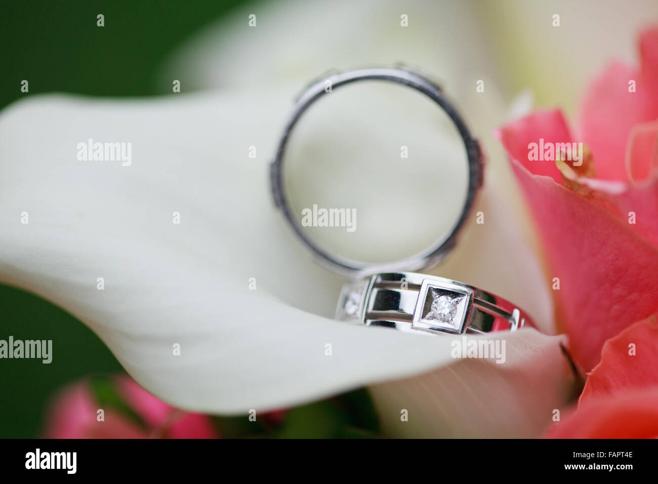 Beautiful wedding rings on the flowers Stock Photo - Alamy