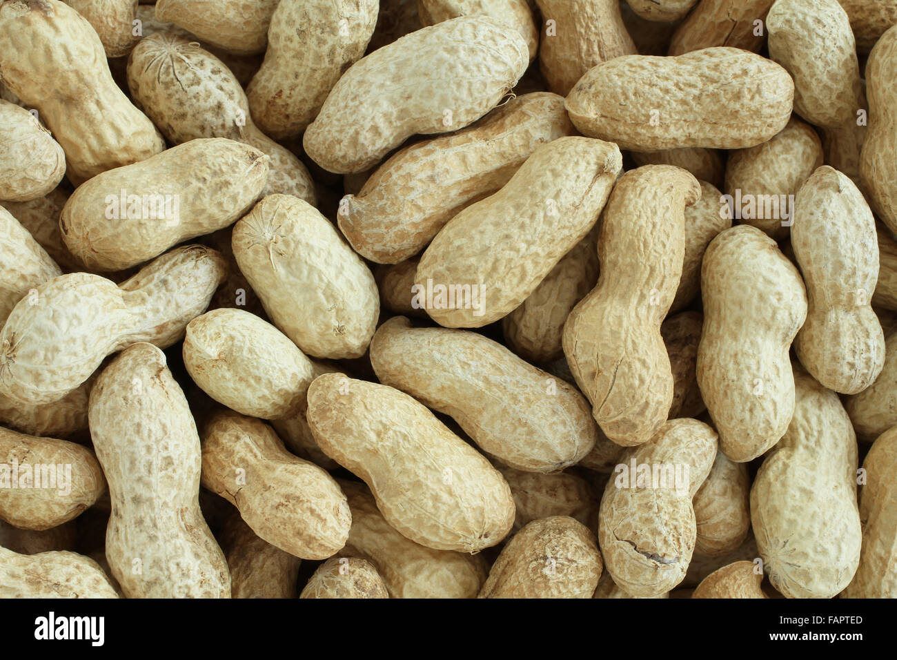 Food background - big peanuts in shell situated arbitrarily Stock Photo ...
