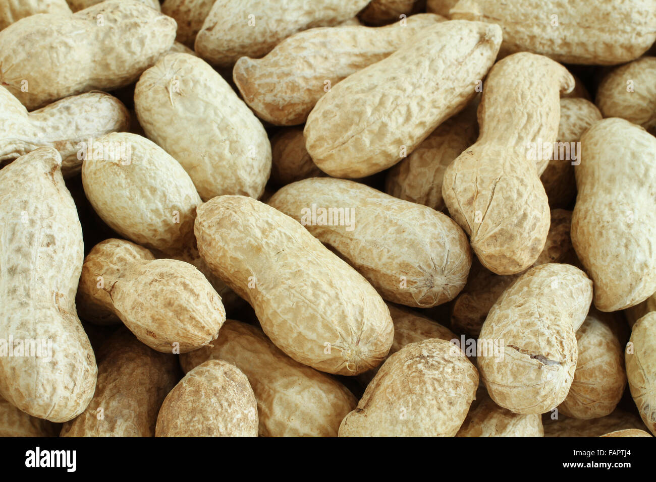 Food background - big peanuts in shell situated arbitrarily Stock Photo ...