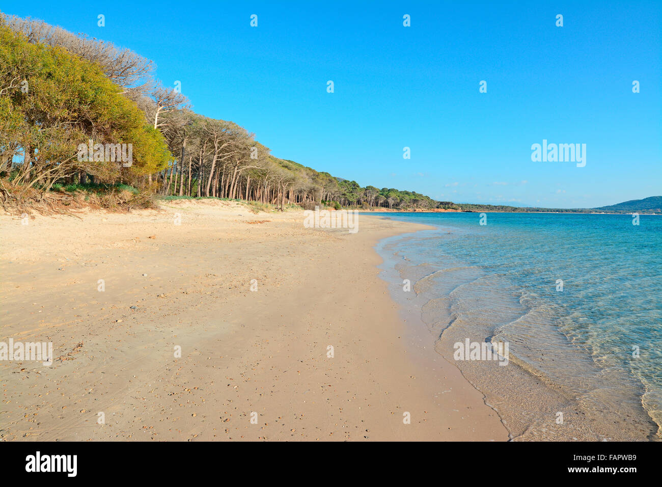 Mugoni beach in Alghero on a clear sunny day Stock Photo - Alamy