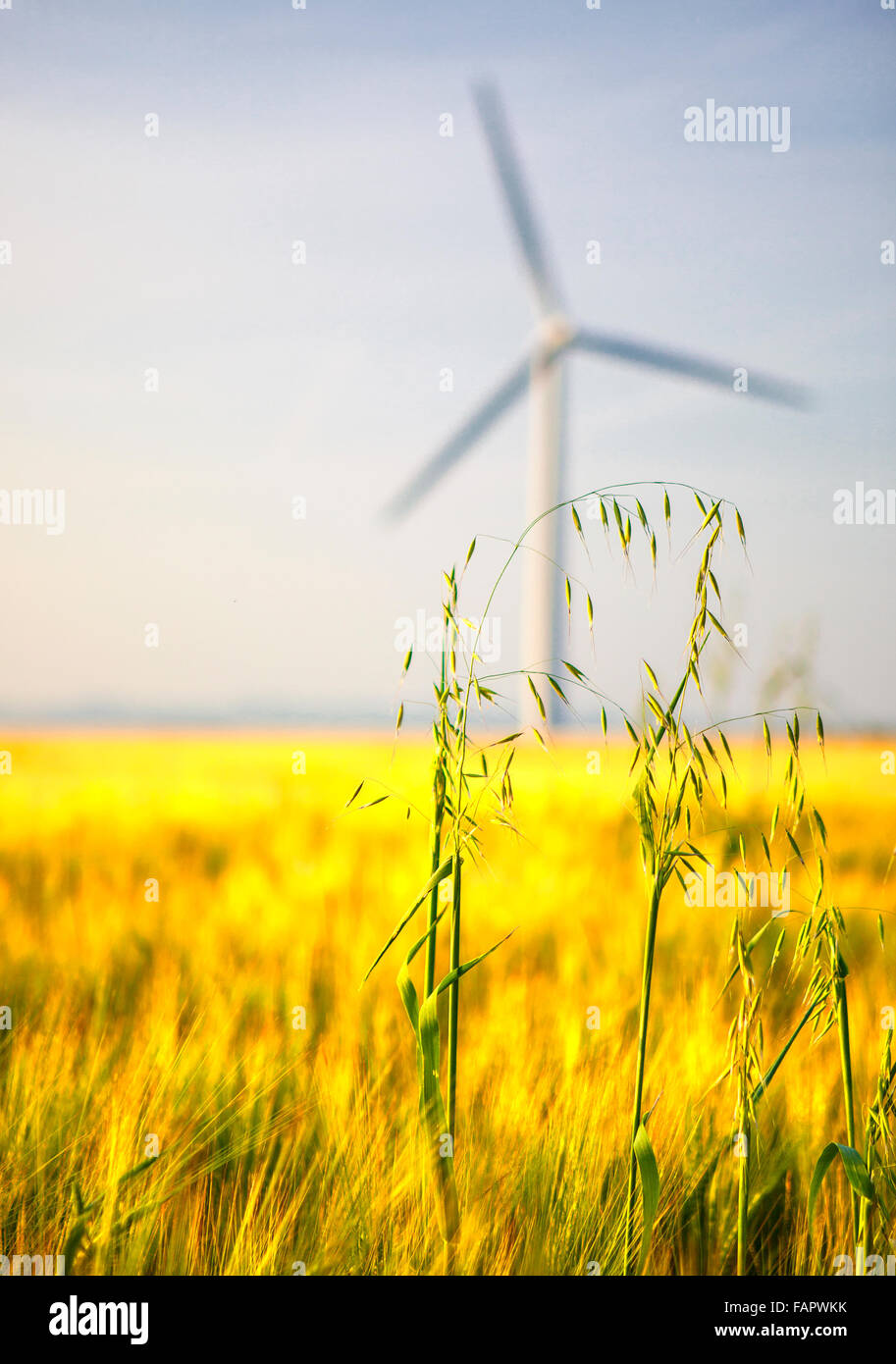 Wind turbine in rural field hi-res stock photography and images - Alamy