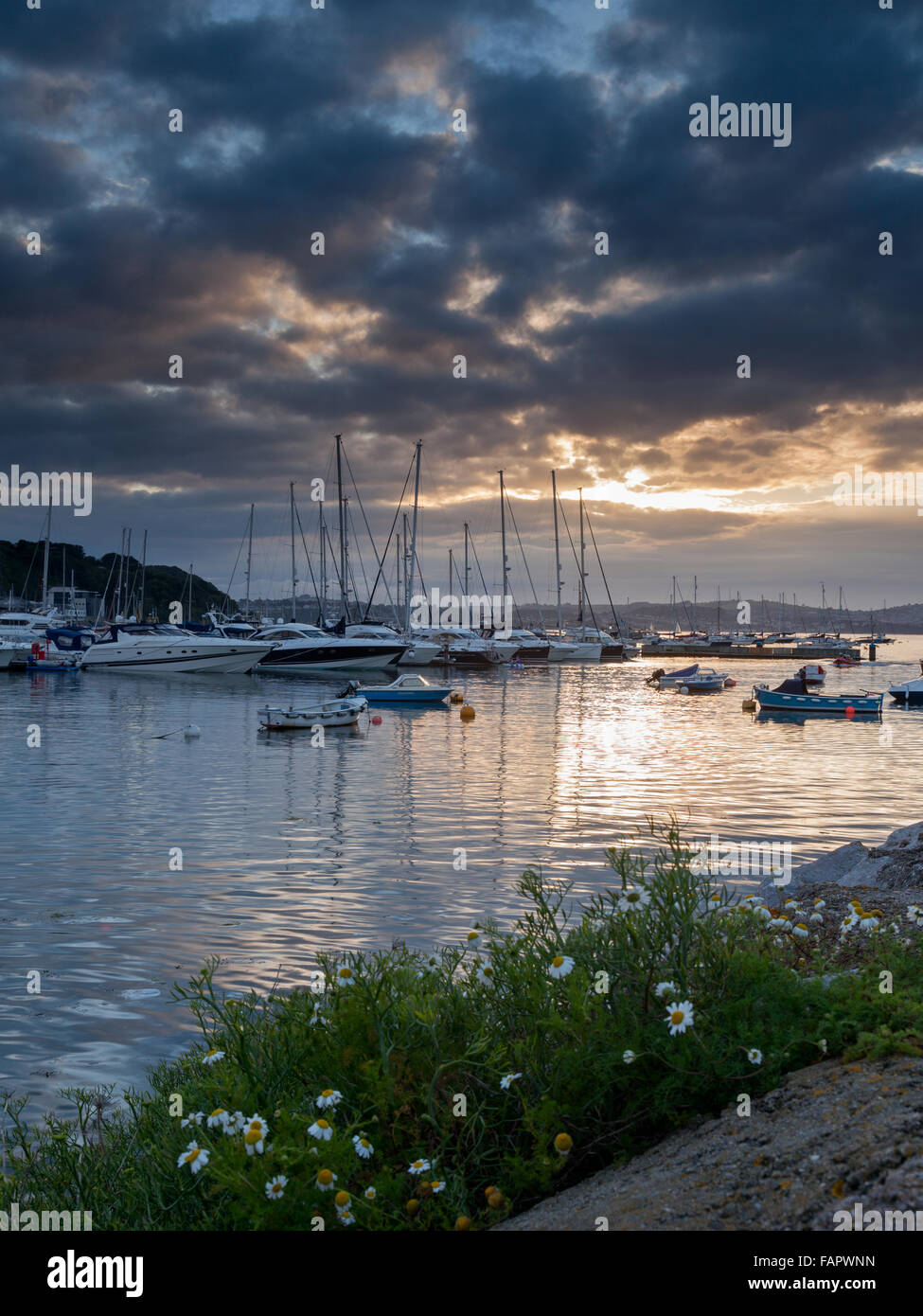 Brixham harbour and boats hi-res stock photography and images - Alamy