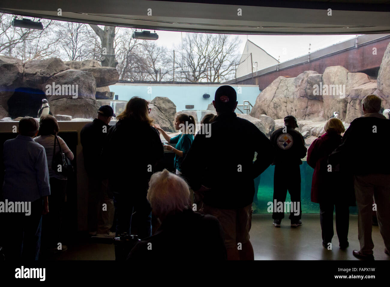 The penguin habitat in the National Aviary in Pittsburgh Stock Photo ...