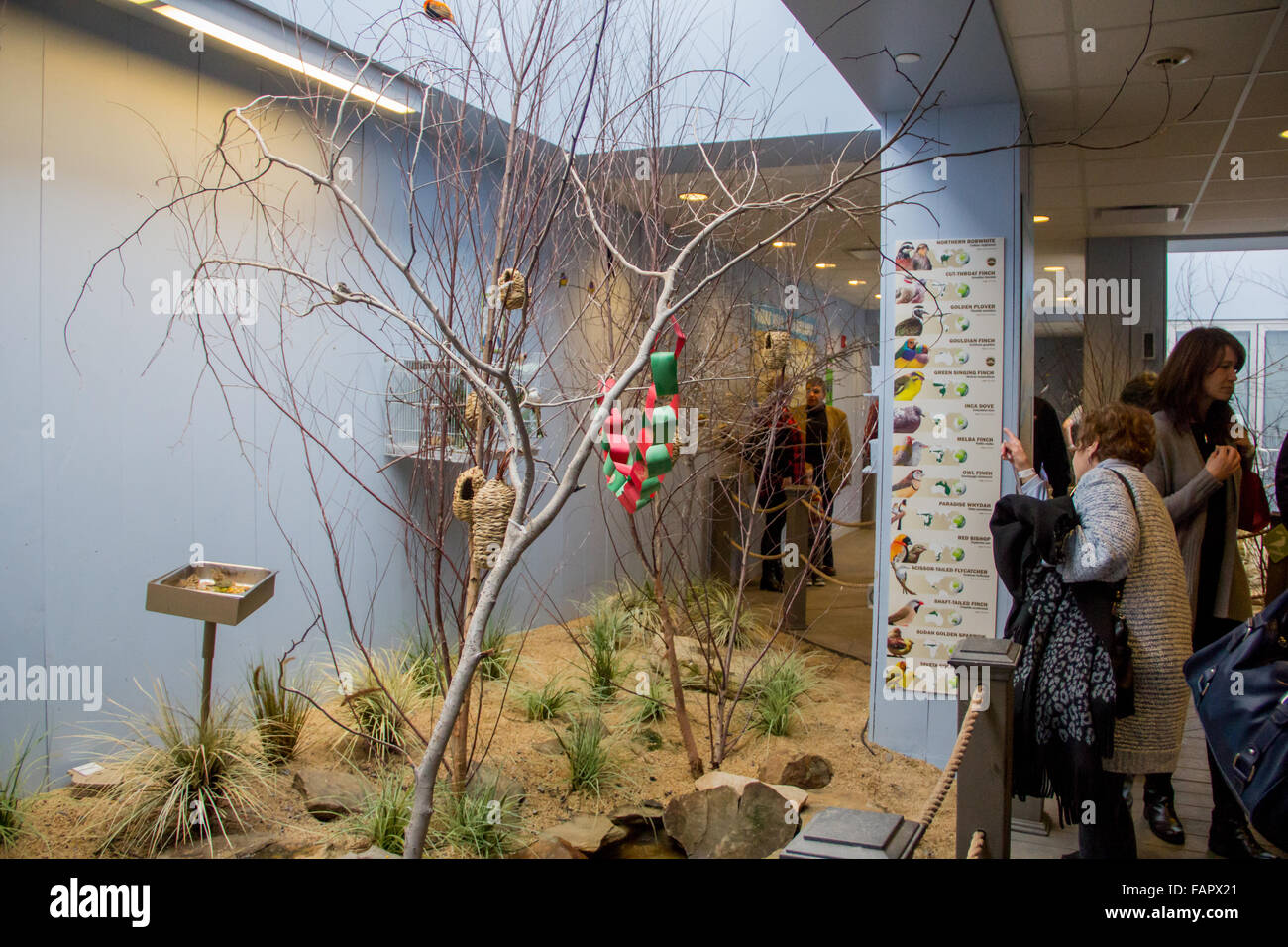 The National Aviary in Pittsburgh, PA Stock Photo - Alamy
