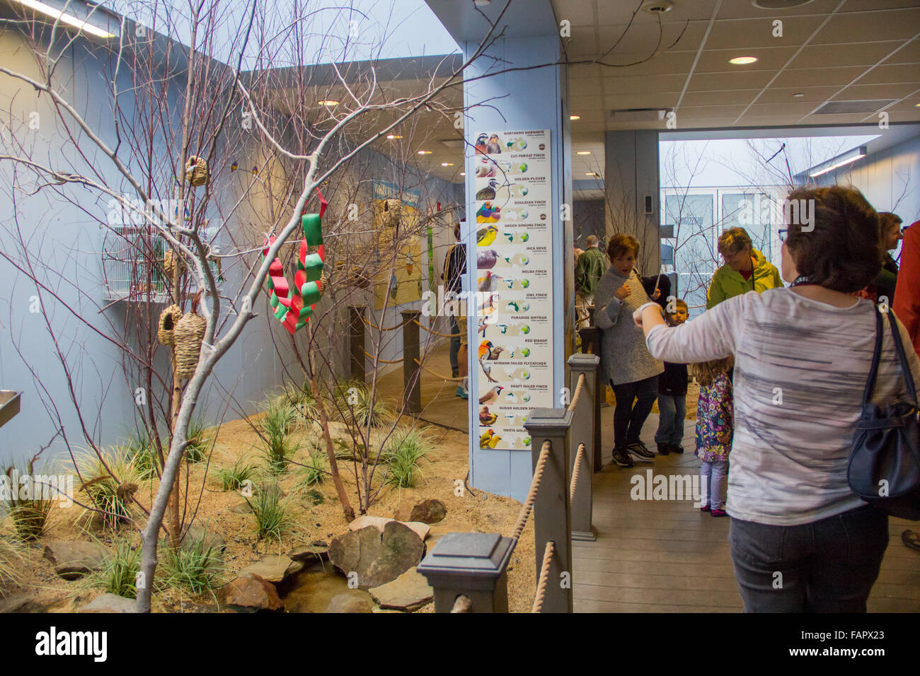 Birds aviary hi-res stock photography and images - Alamy