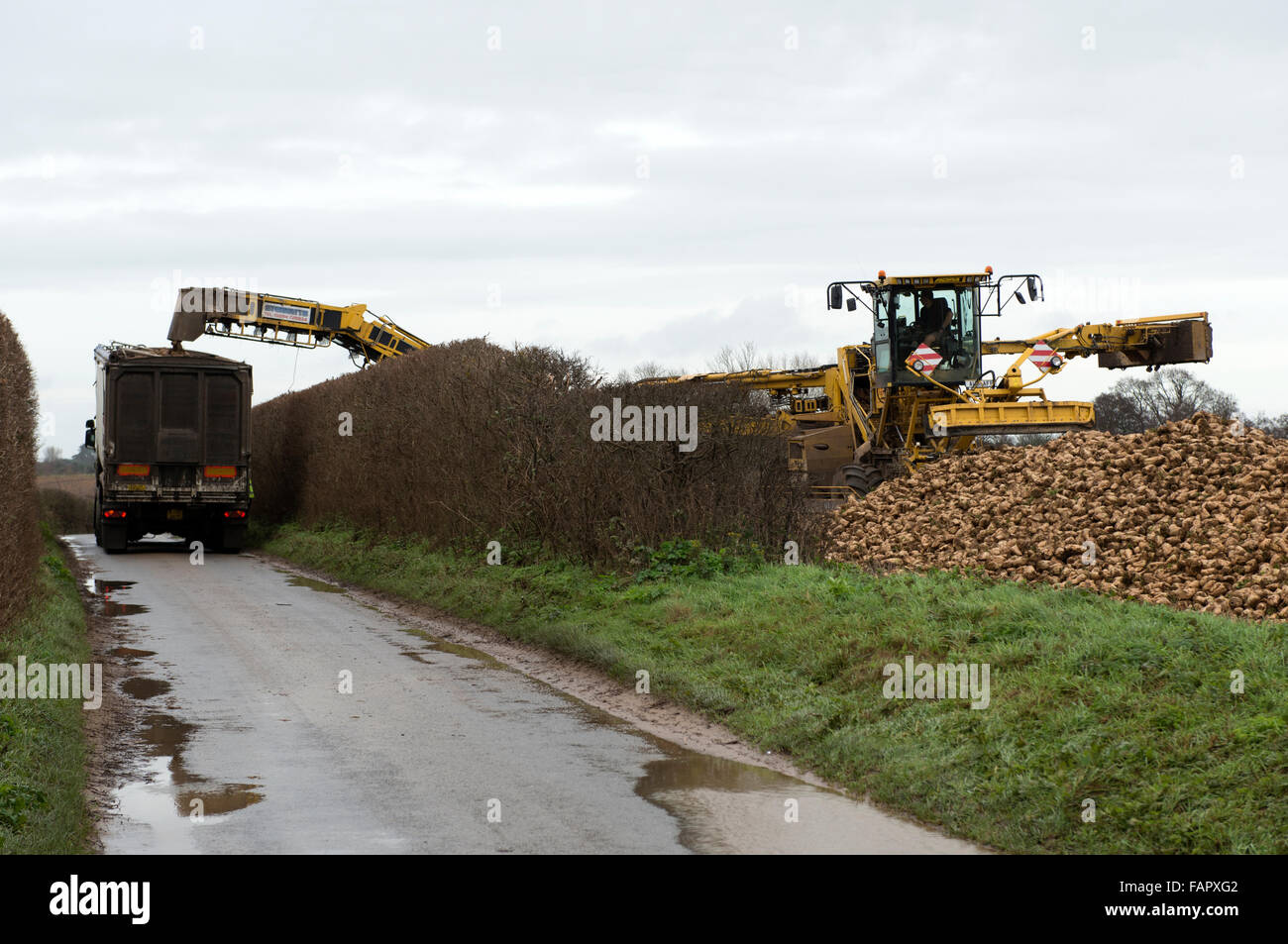 Sugar beet lorry hi-res stock photography and images - Alamy