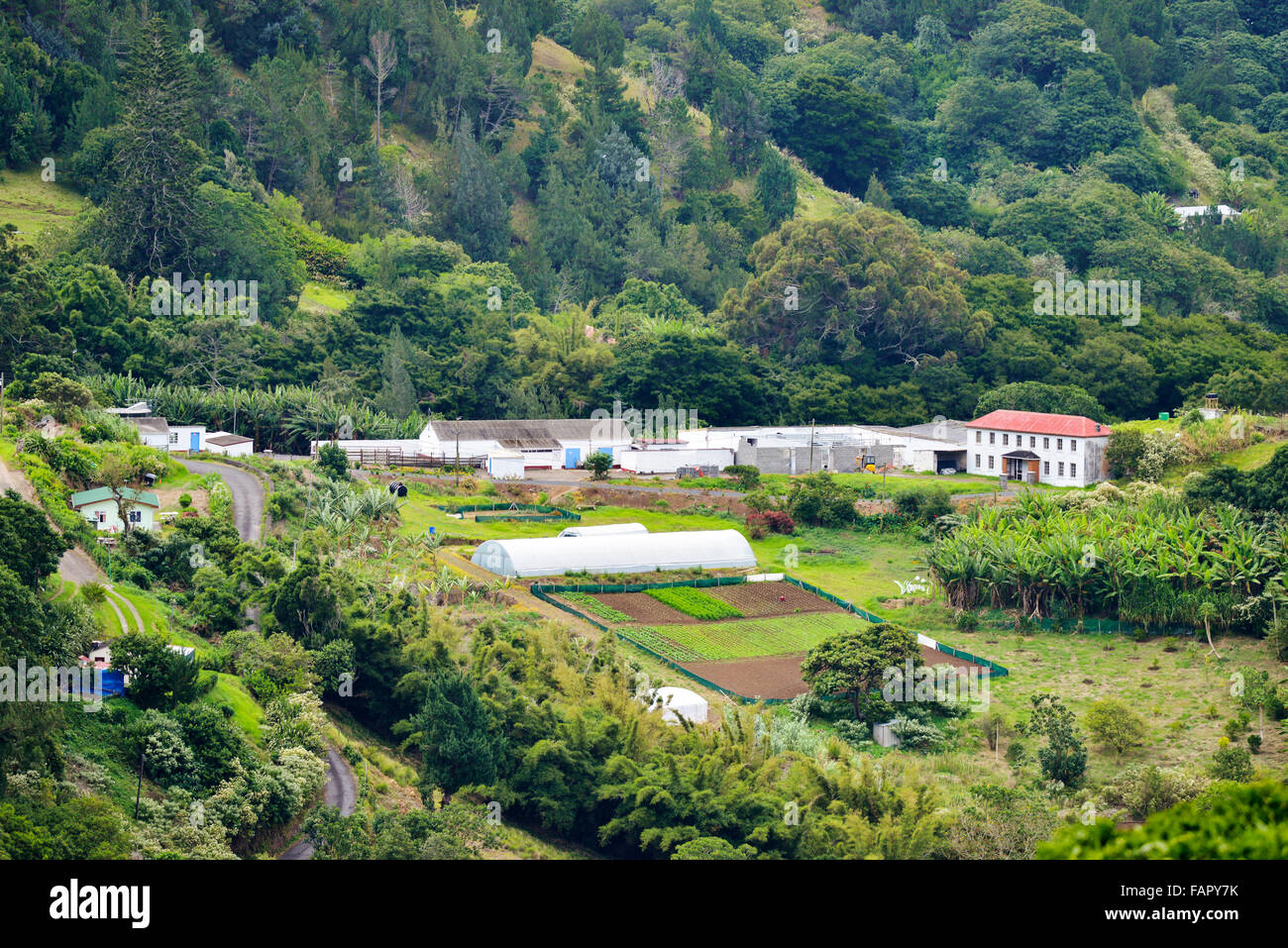 Bamboo Hedge Farm in the region of Sandy bay on the island of St Helena ...
