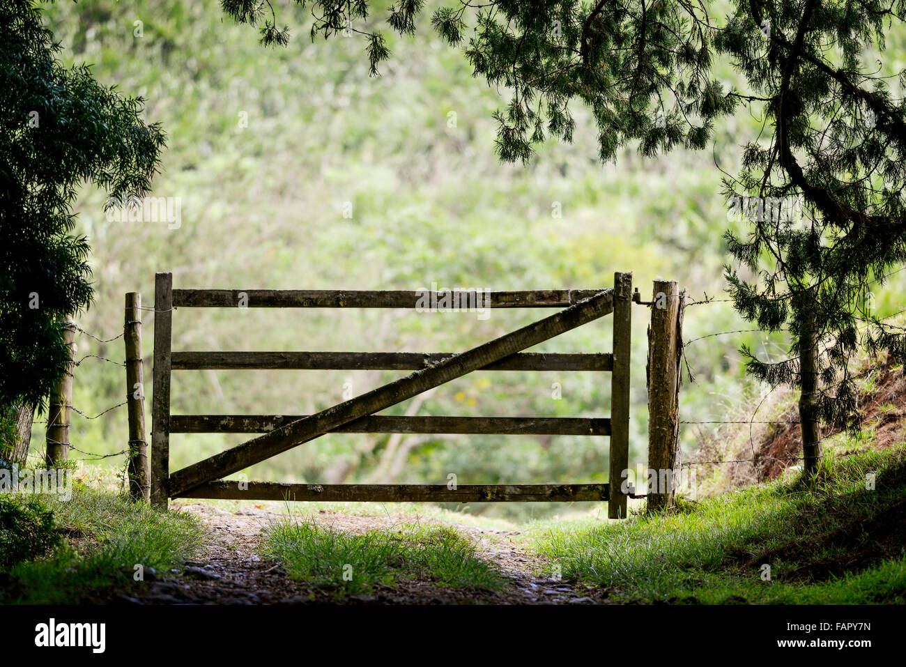 St Helena south Atlantic ocean countryside view with farm gate in ...
