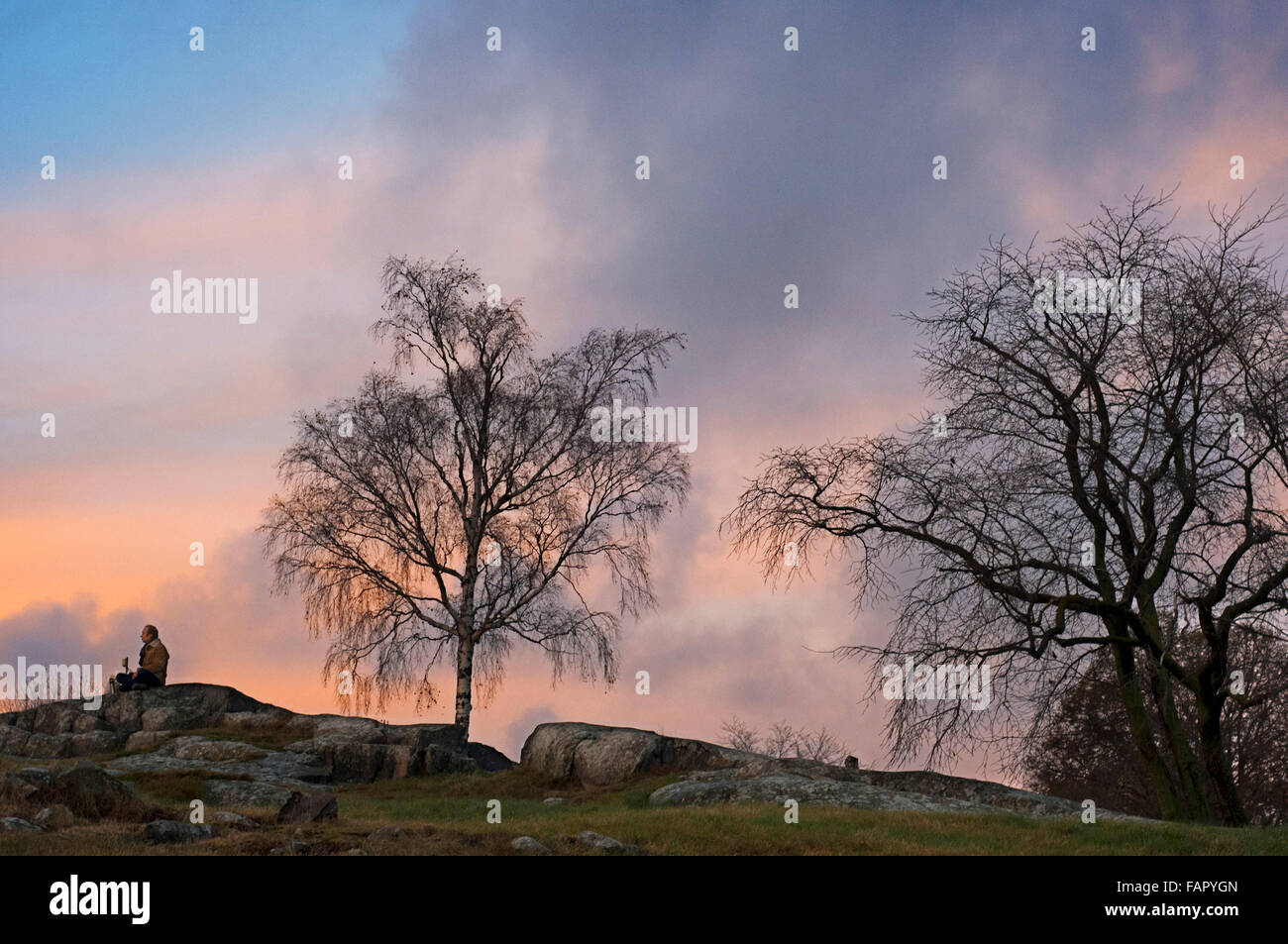 Helsinki park winter hi-res stock photography and images - Alamy