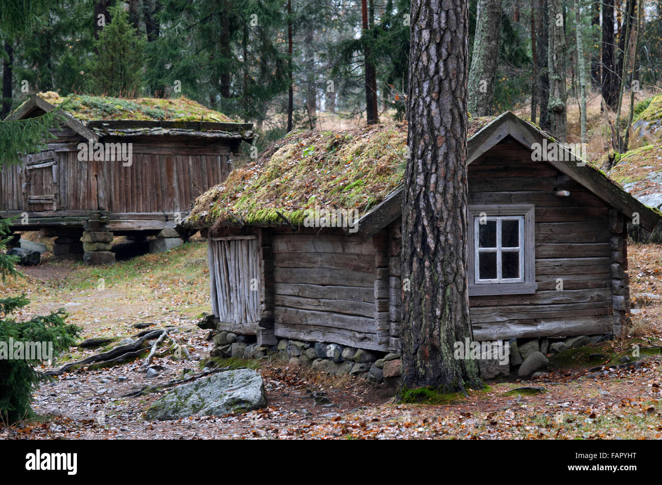 Finnish Wood Architecture