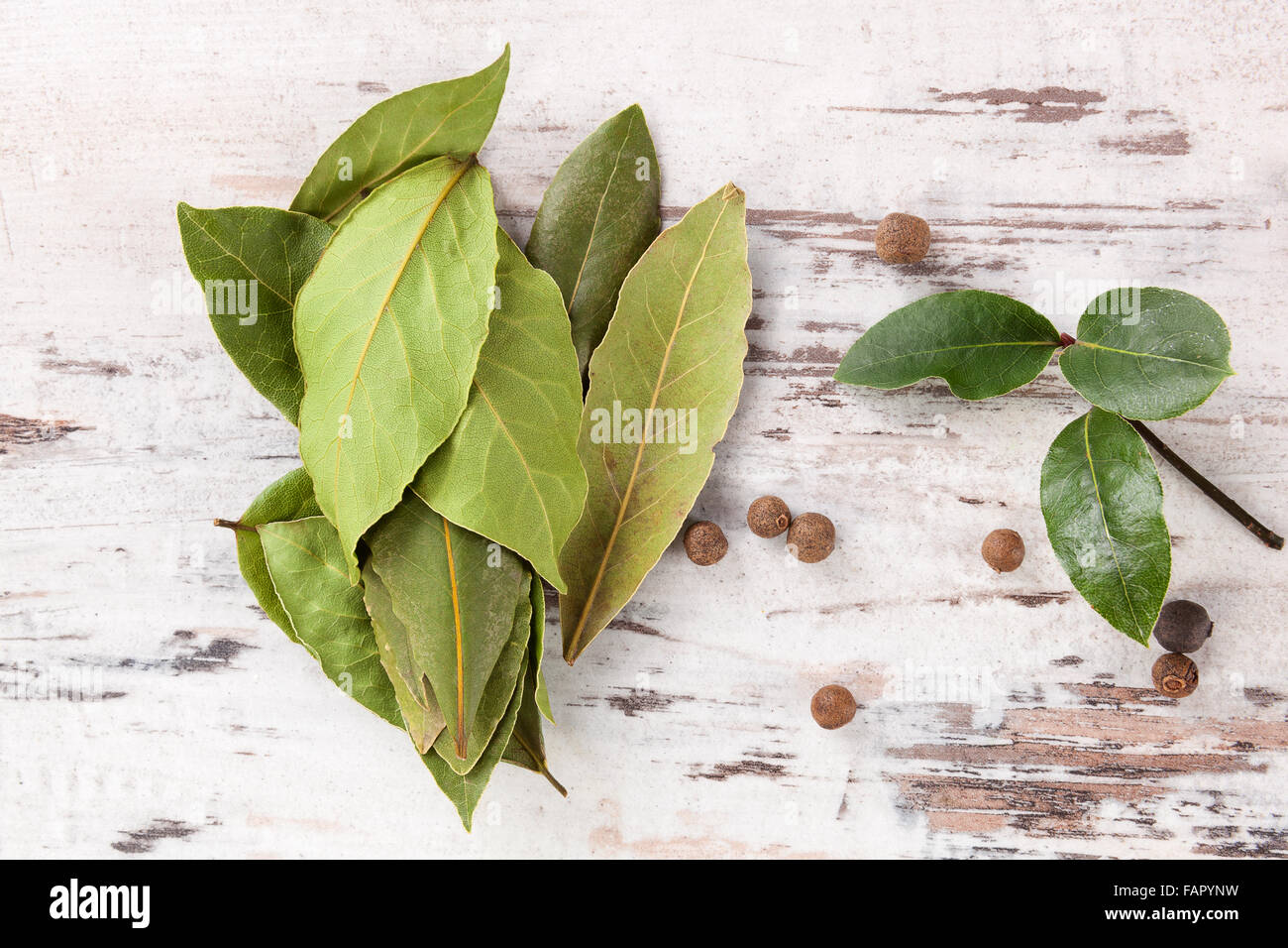 Dry bay leaves on white wooden textured background. Culinary herb ...