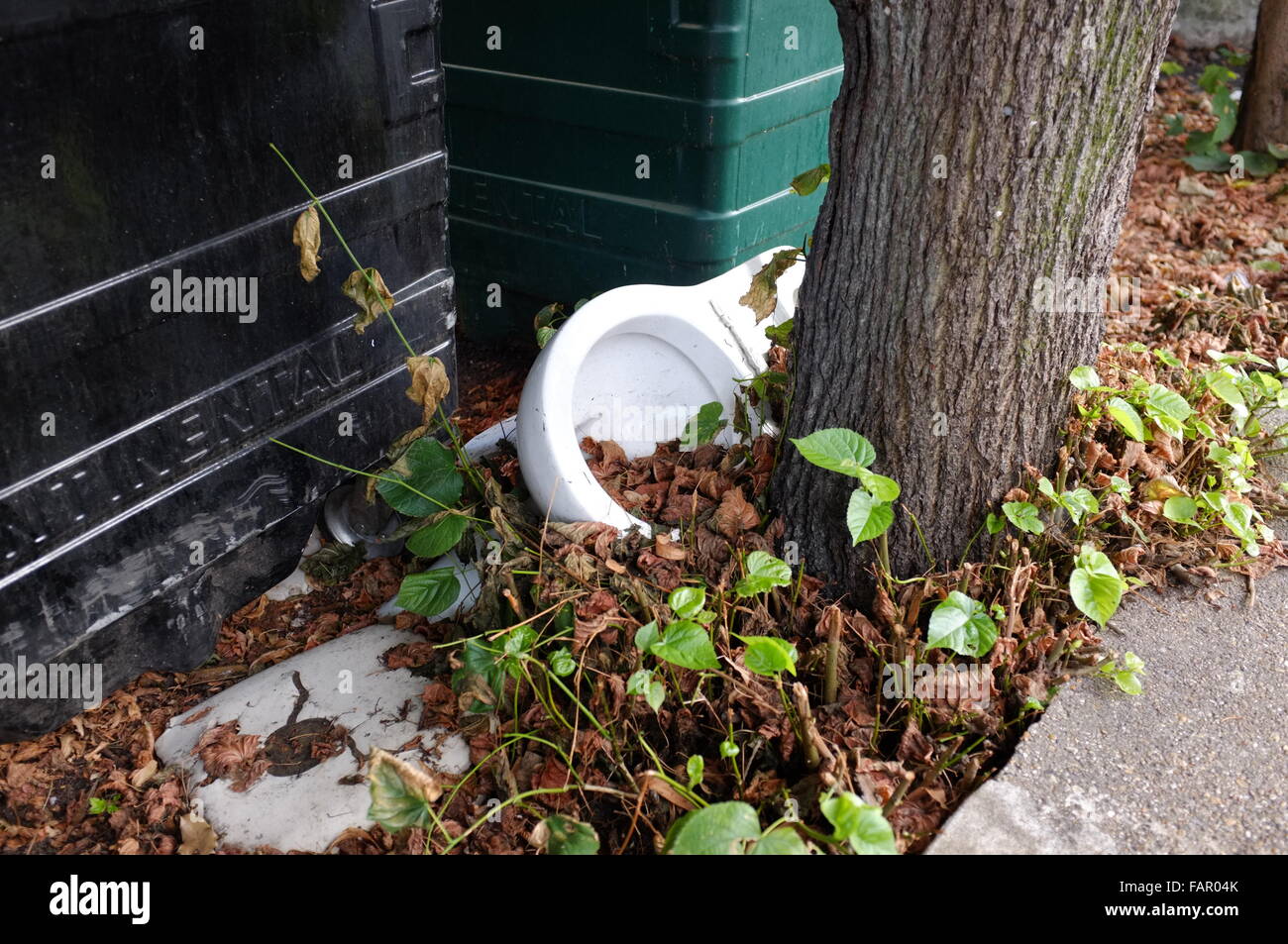 Tree toilet hi-res stock photography and images - Alamy