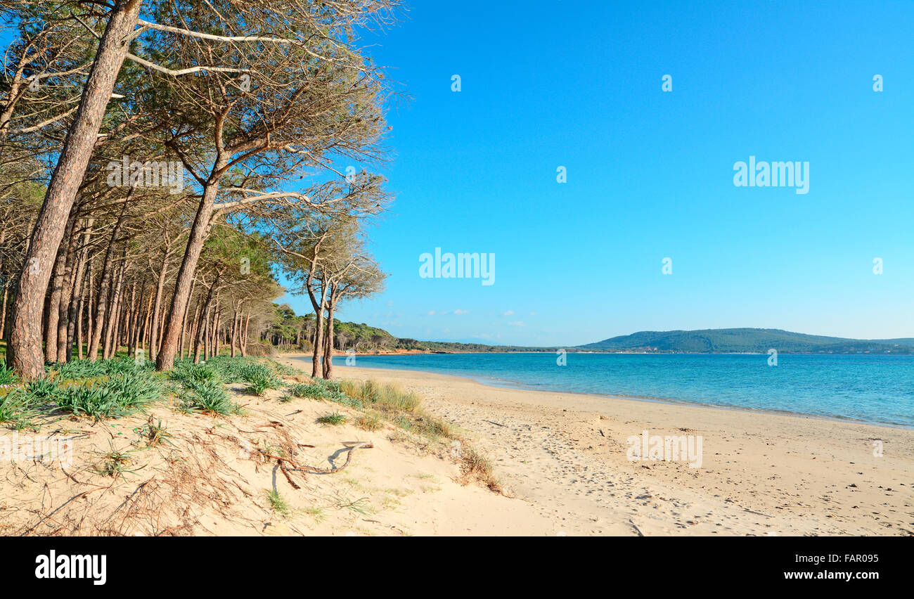 Mugoni beach in Alghero on a clear sunny day Stock Photo - Alamy