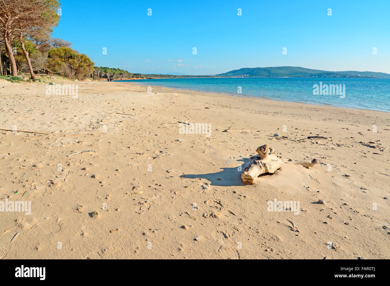 Mugoni beach in Alghero on a clear sunny day Stock Photo - Alamy