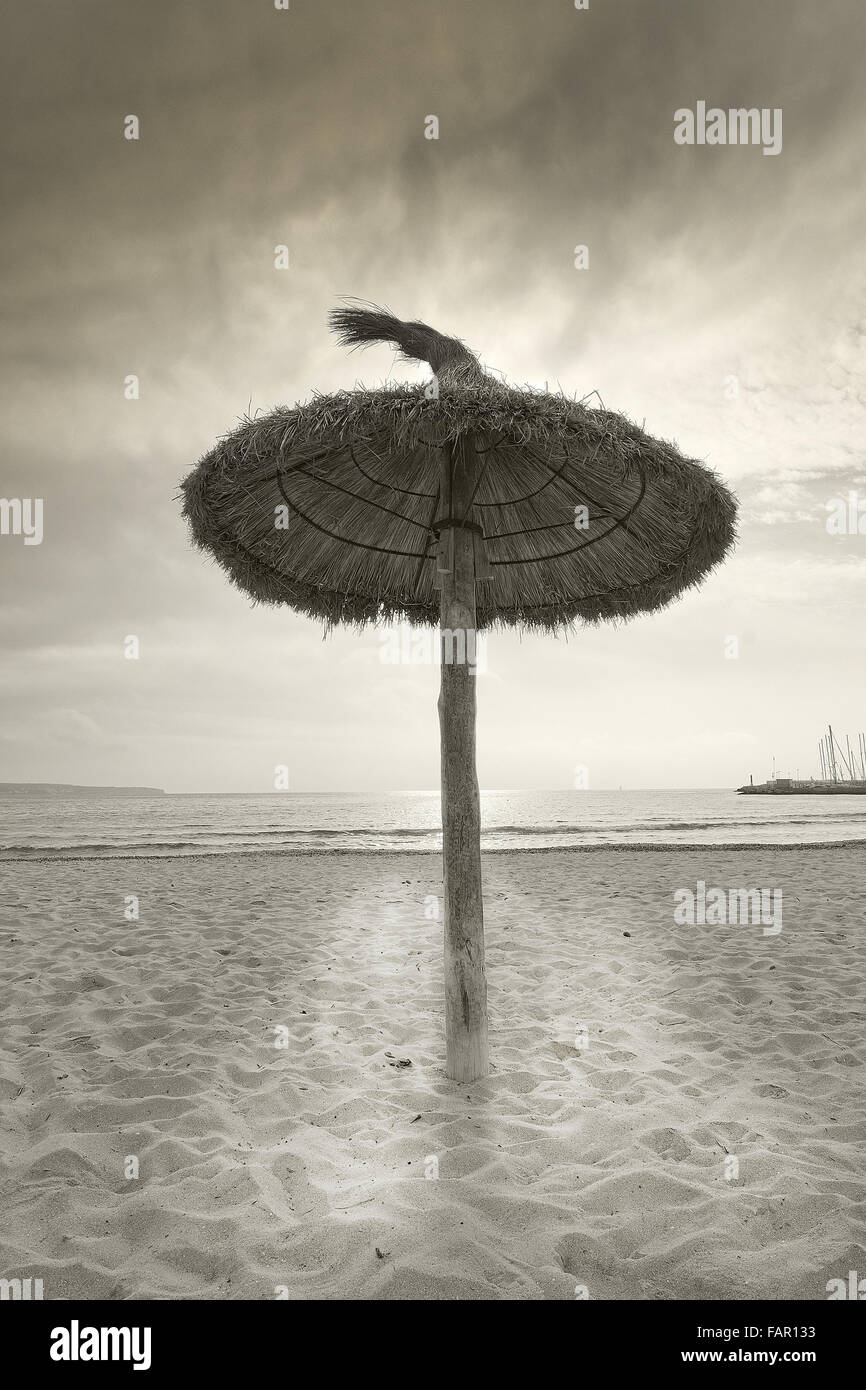 Parasols on winter beach in vintage retro monotone color in Mallorca ...