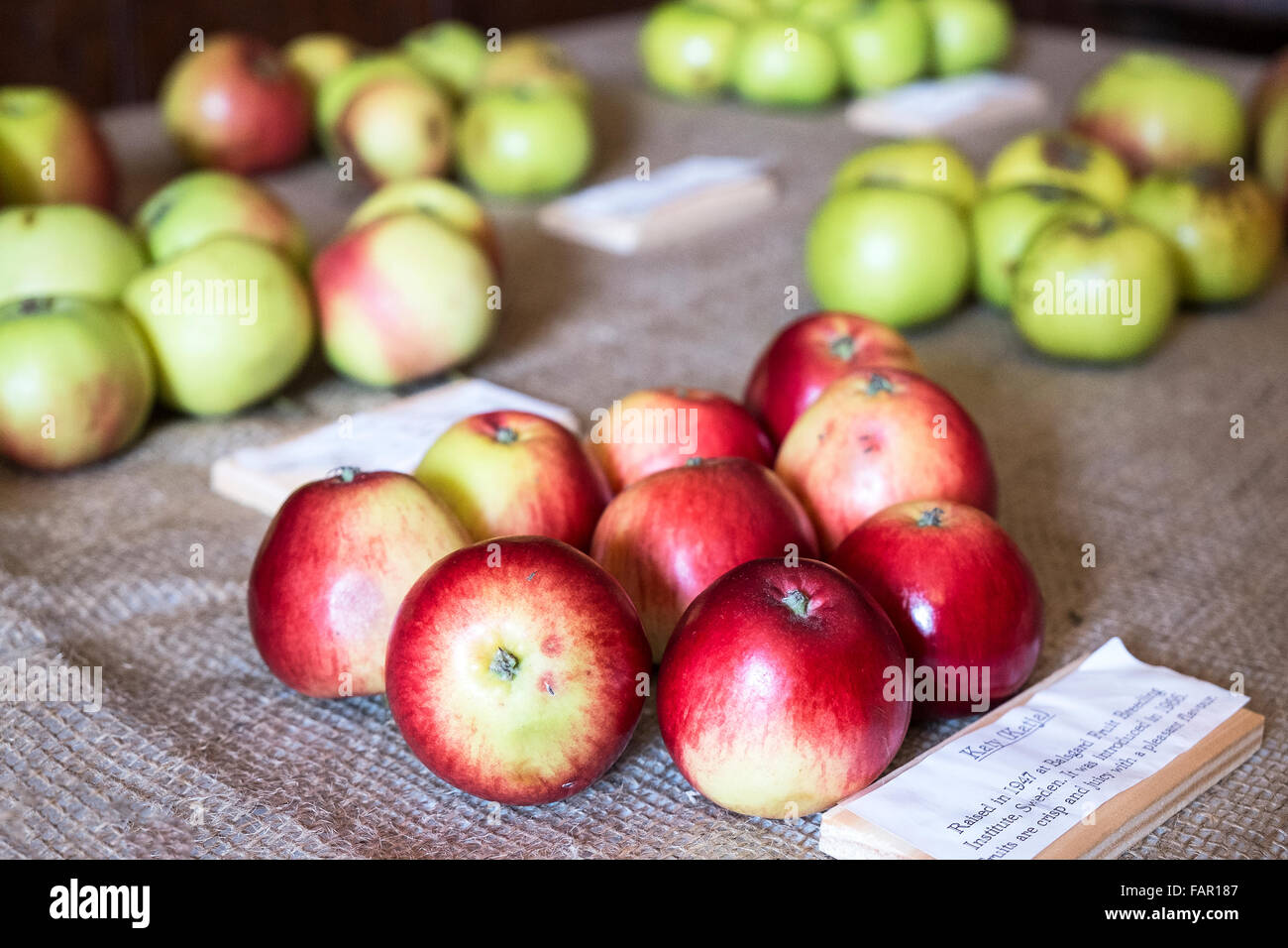 English apple varieties hi-res stock photography and images - Alamy