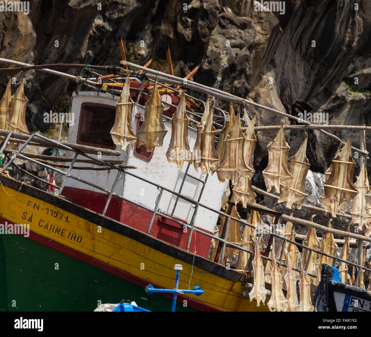Madeira - capital city Funchal. Local 'gata' fish drying in the sun ...