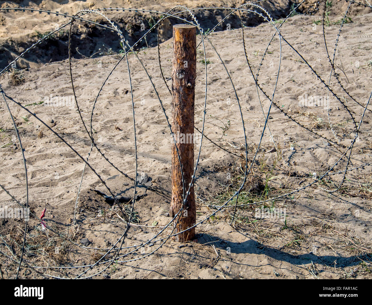 Barbed wire entanglements hi-res stock photography and images - Alamy