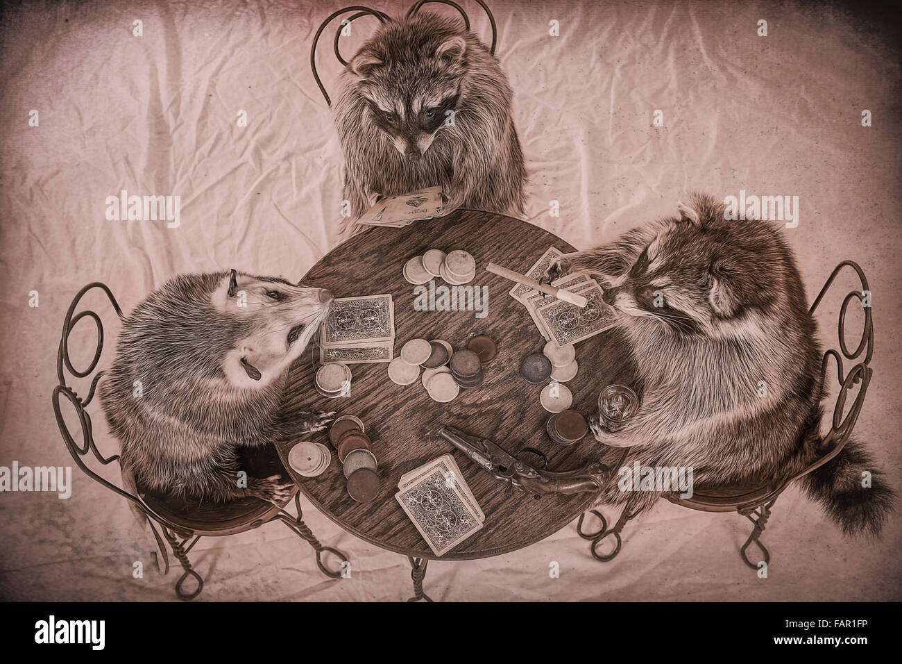 Two raccoons and opossum play poker at table from above view ...