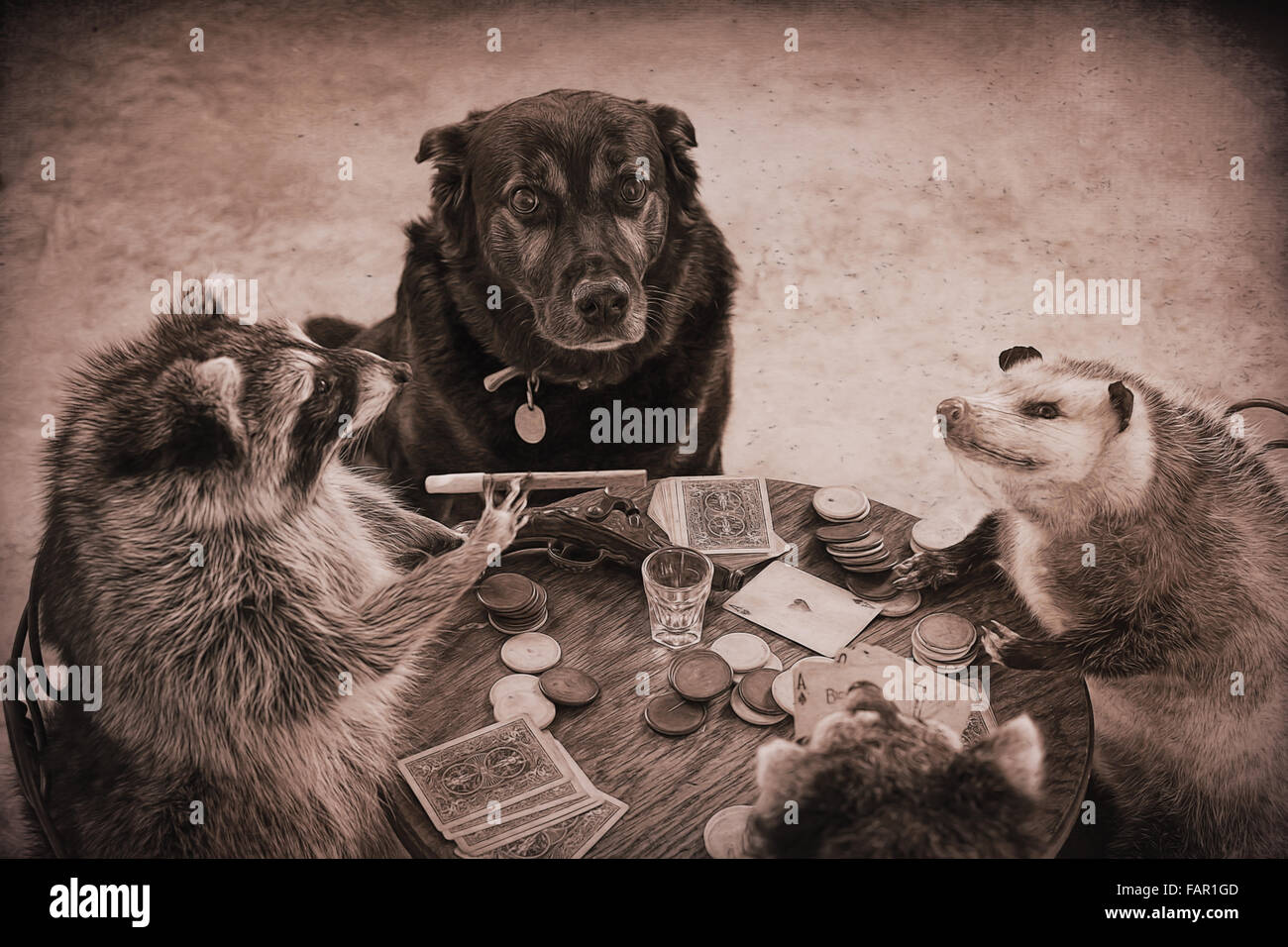 Black dog sitting at poker table with raccoon and opossum Stock Photo ...