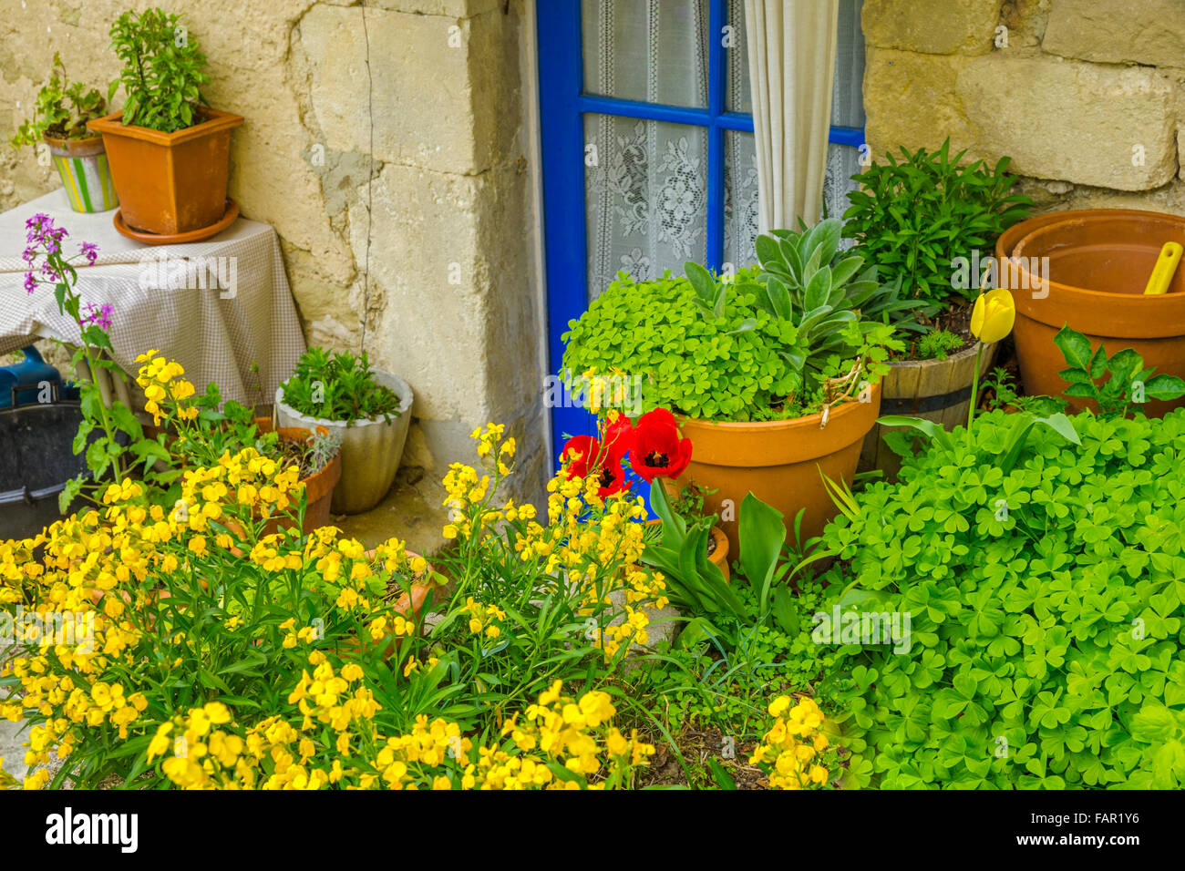 rustic courtyard in Provence, France Stock Photo - Alamy