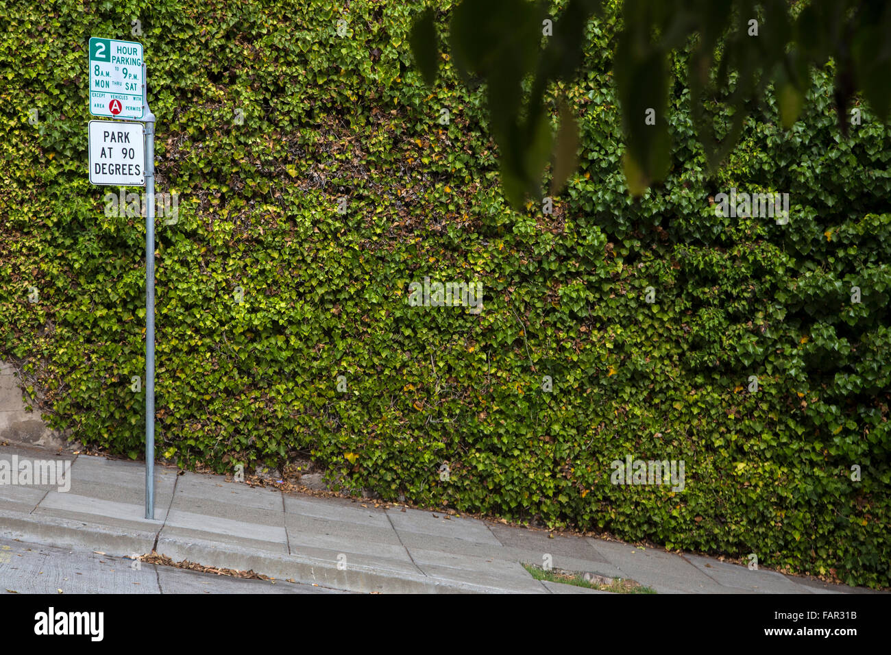 Parking sign on a hilly street in San Francisco, California Stock Photo ...
