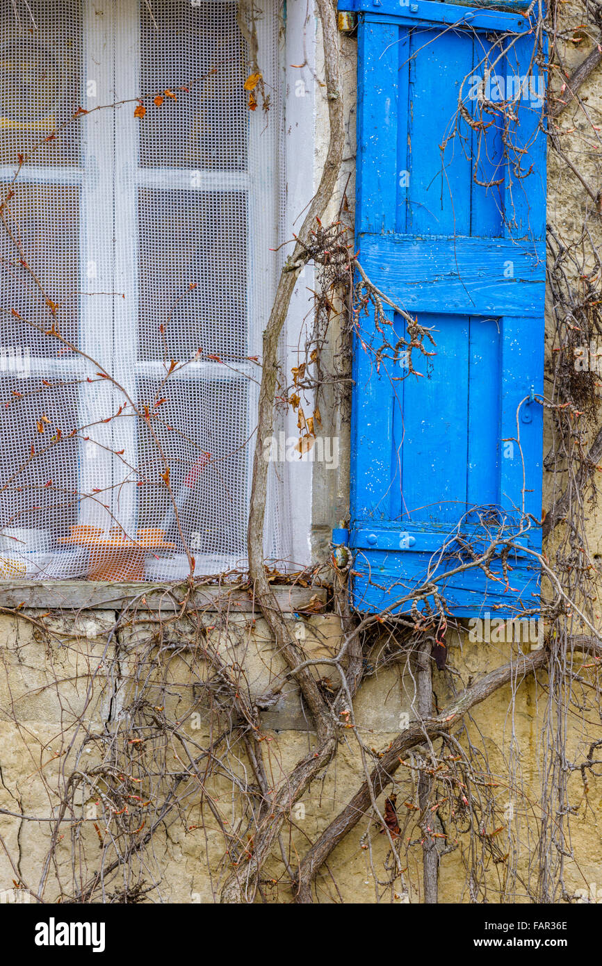 rustic window shutters and vines, Provence, France Stock Photo - Alamy