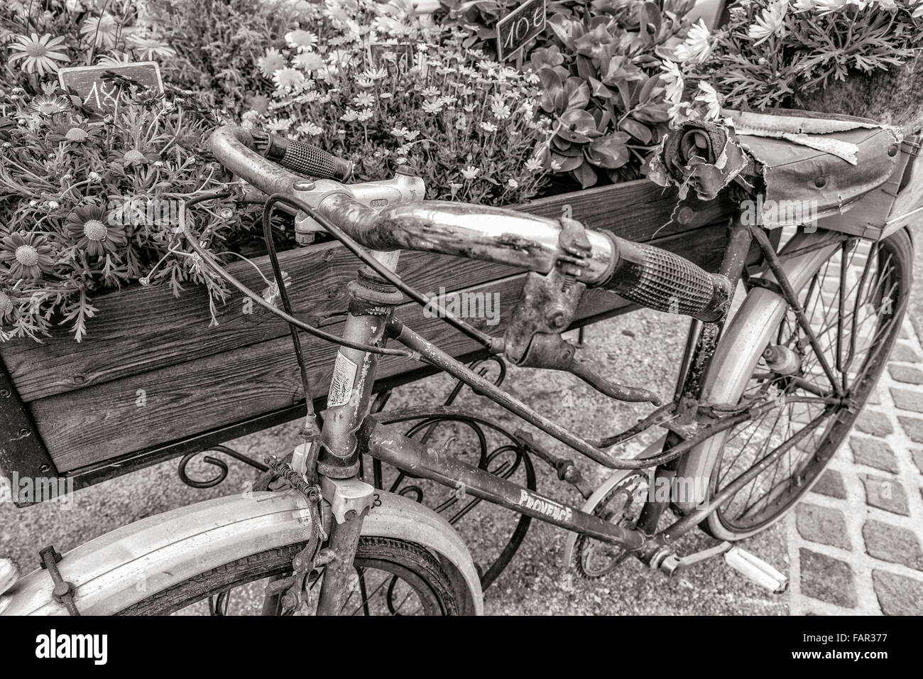 rustic bicycle in flower market, Provence, France Stock Photo - Alamy